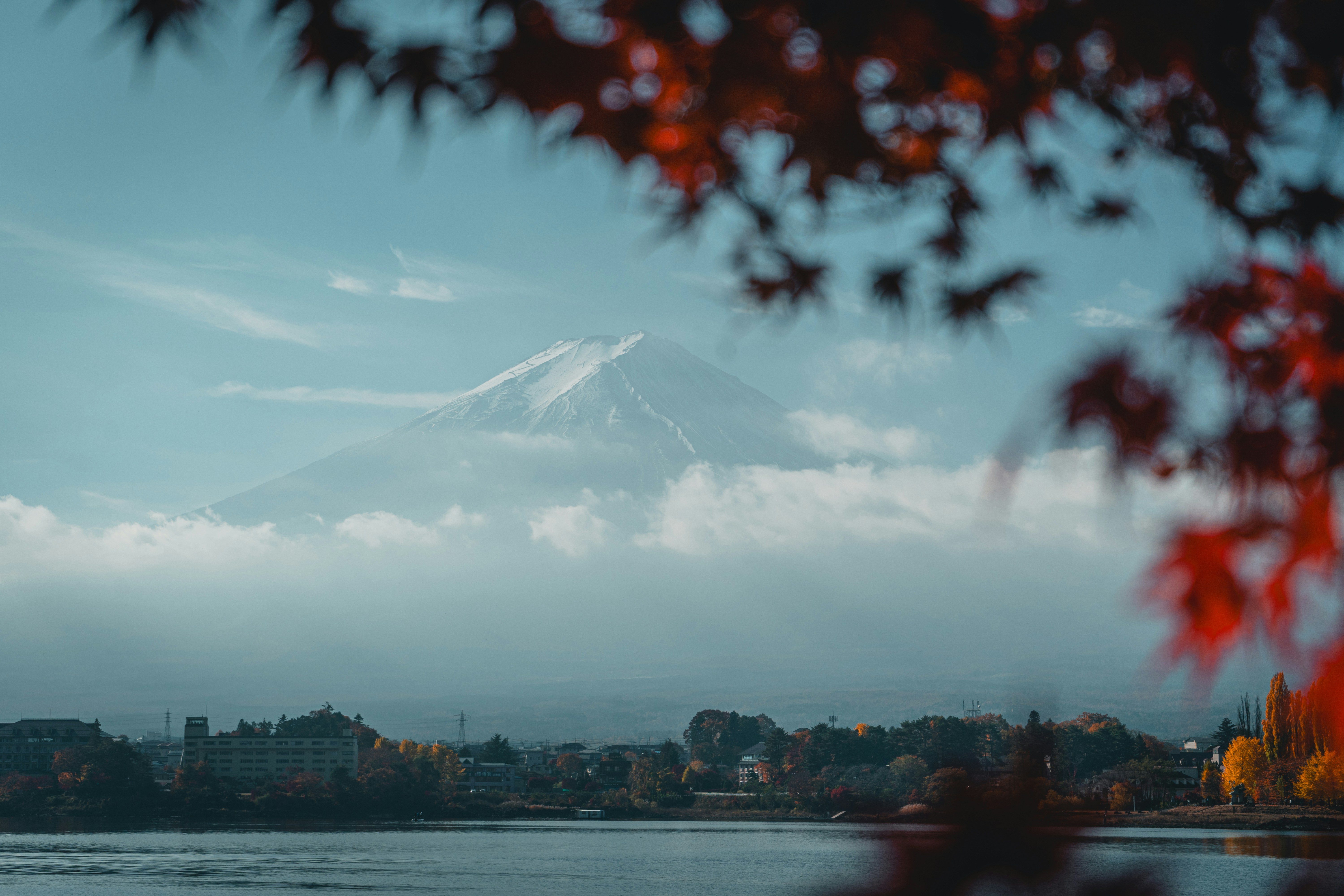 Mist over the Lake: Mount Fuji Framed by Autumn Branches