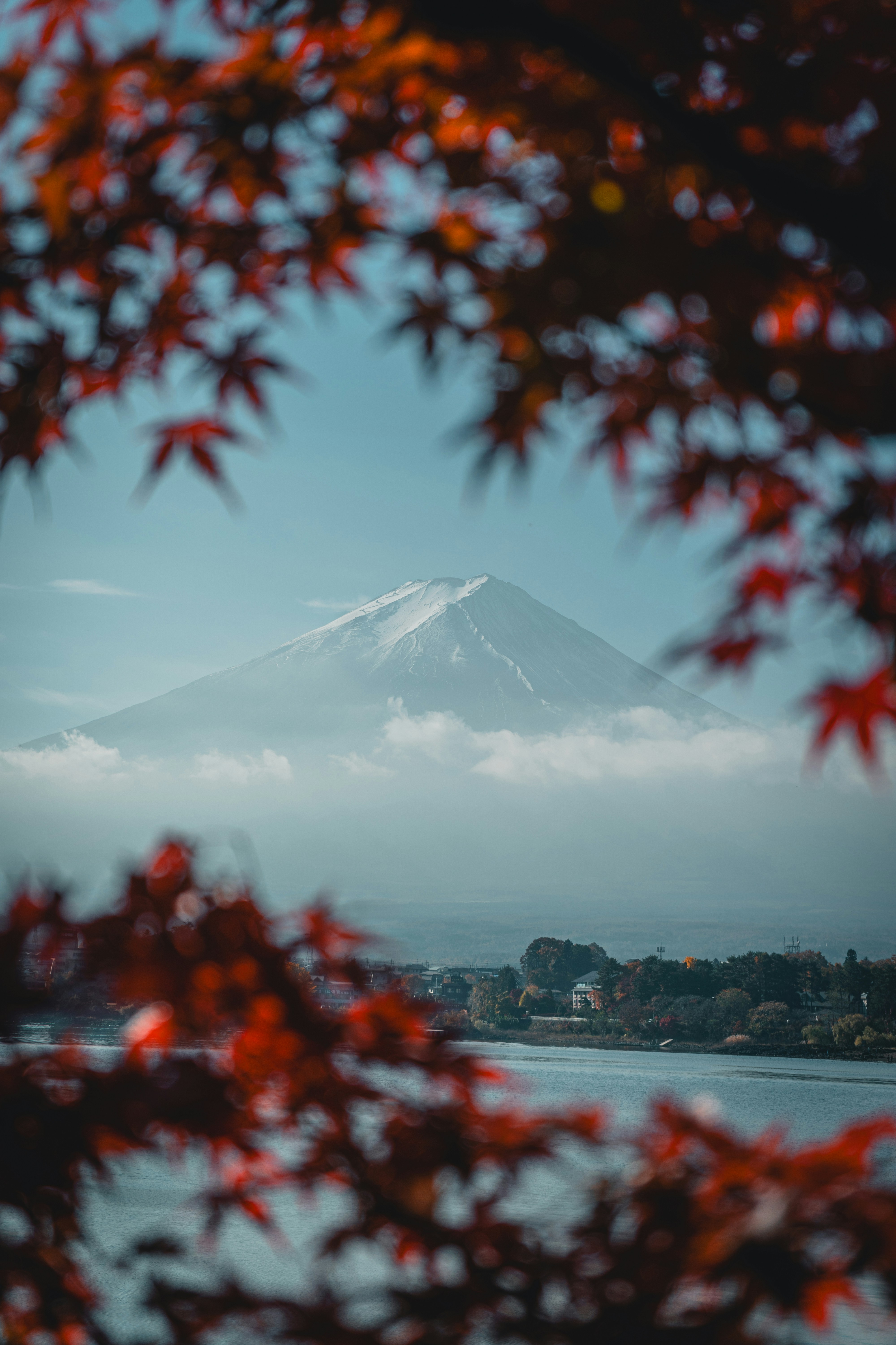 Mt. Fuji in a Framed Red: Autumn Leaves Encircle a Silent Peak