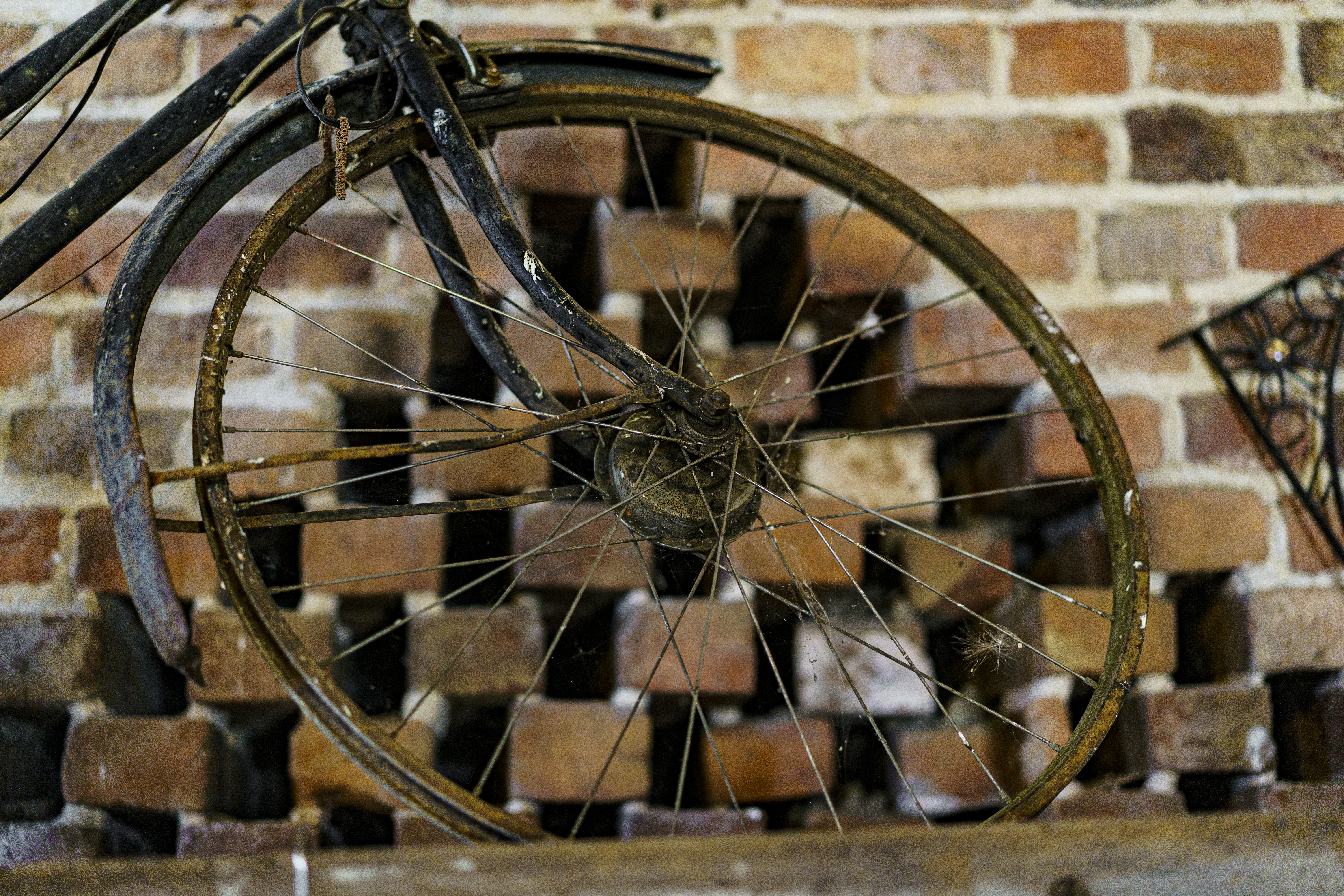Rust and Relics: A Bicycle Wheel Leaning Against Brick