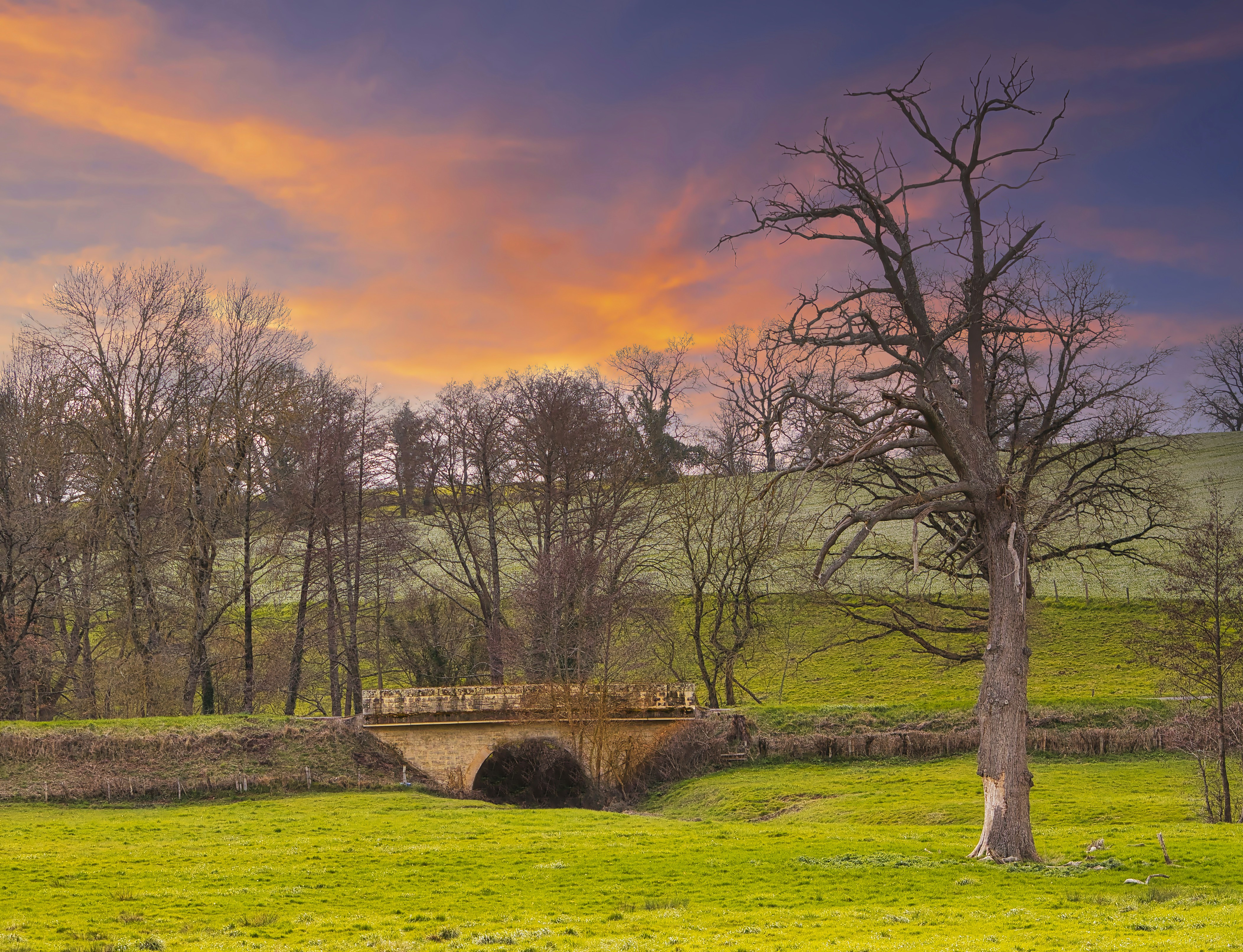 Golden Hour over the Barren Tree and Stone Bridge