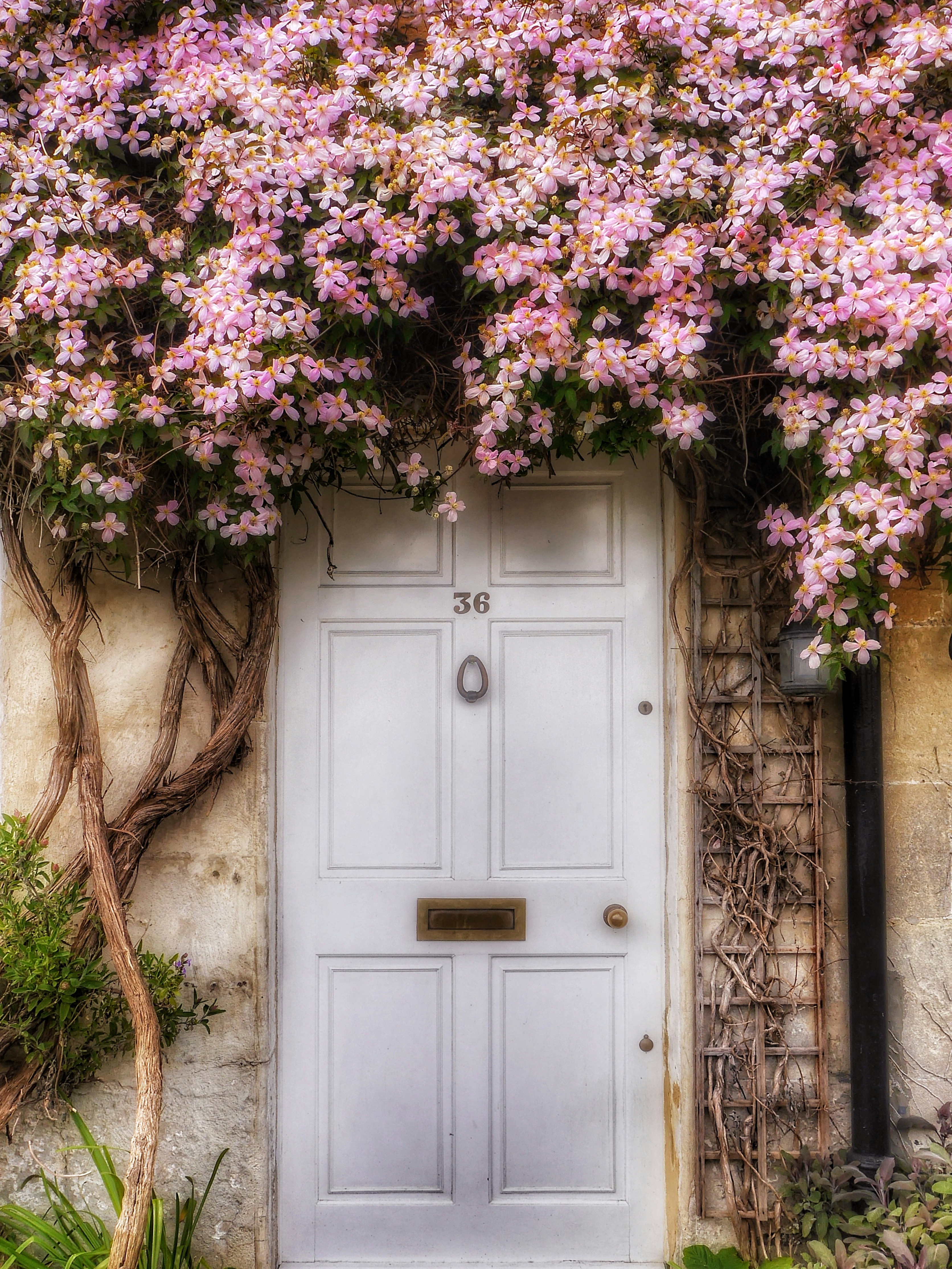 White door framed by twisting vines and pink blossoms, center of weathered stone wall; a quaint doorway with metal knocker and mail slot.