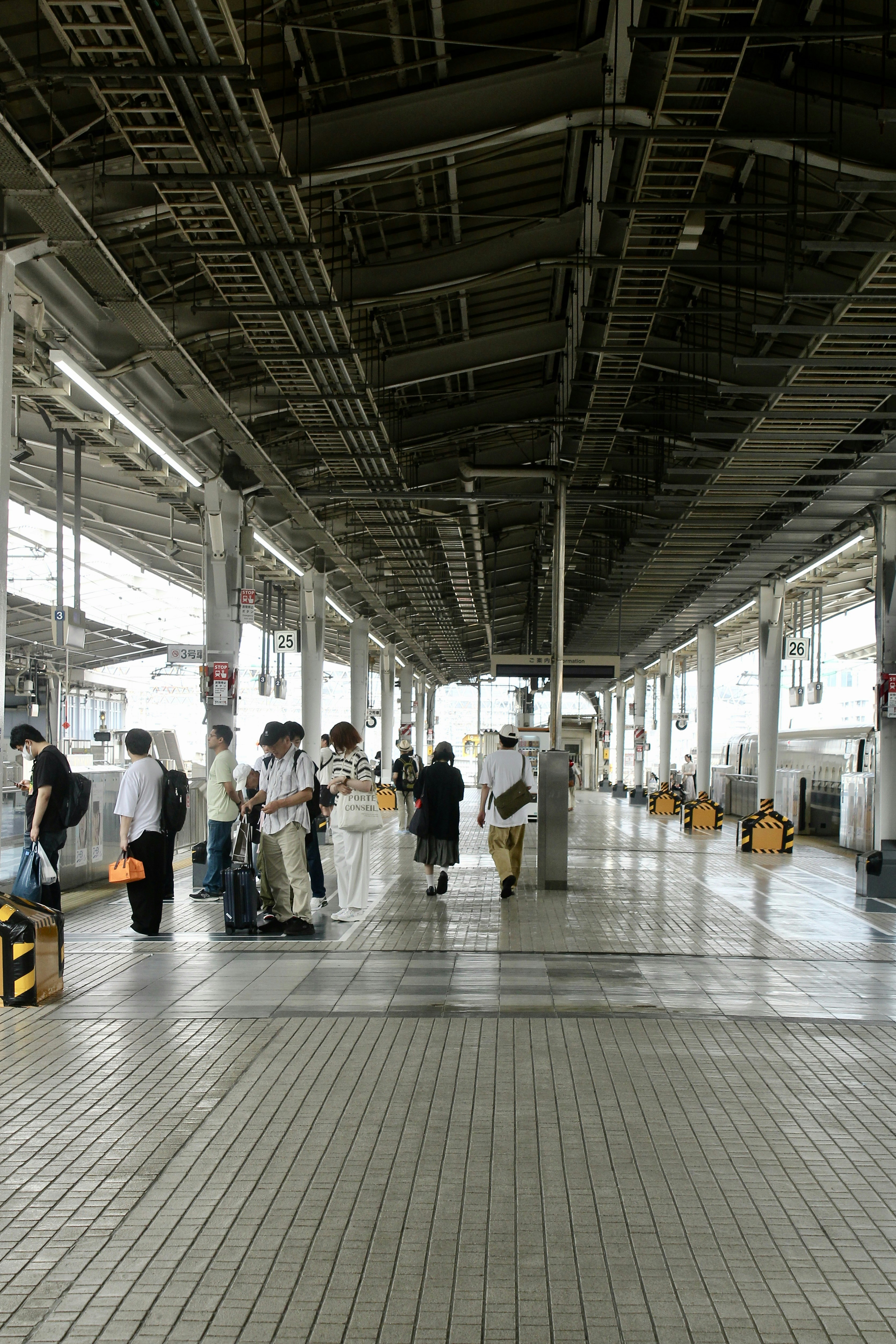 Platform Pulse: Travelers Assemble Under Industrial Rails