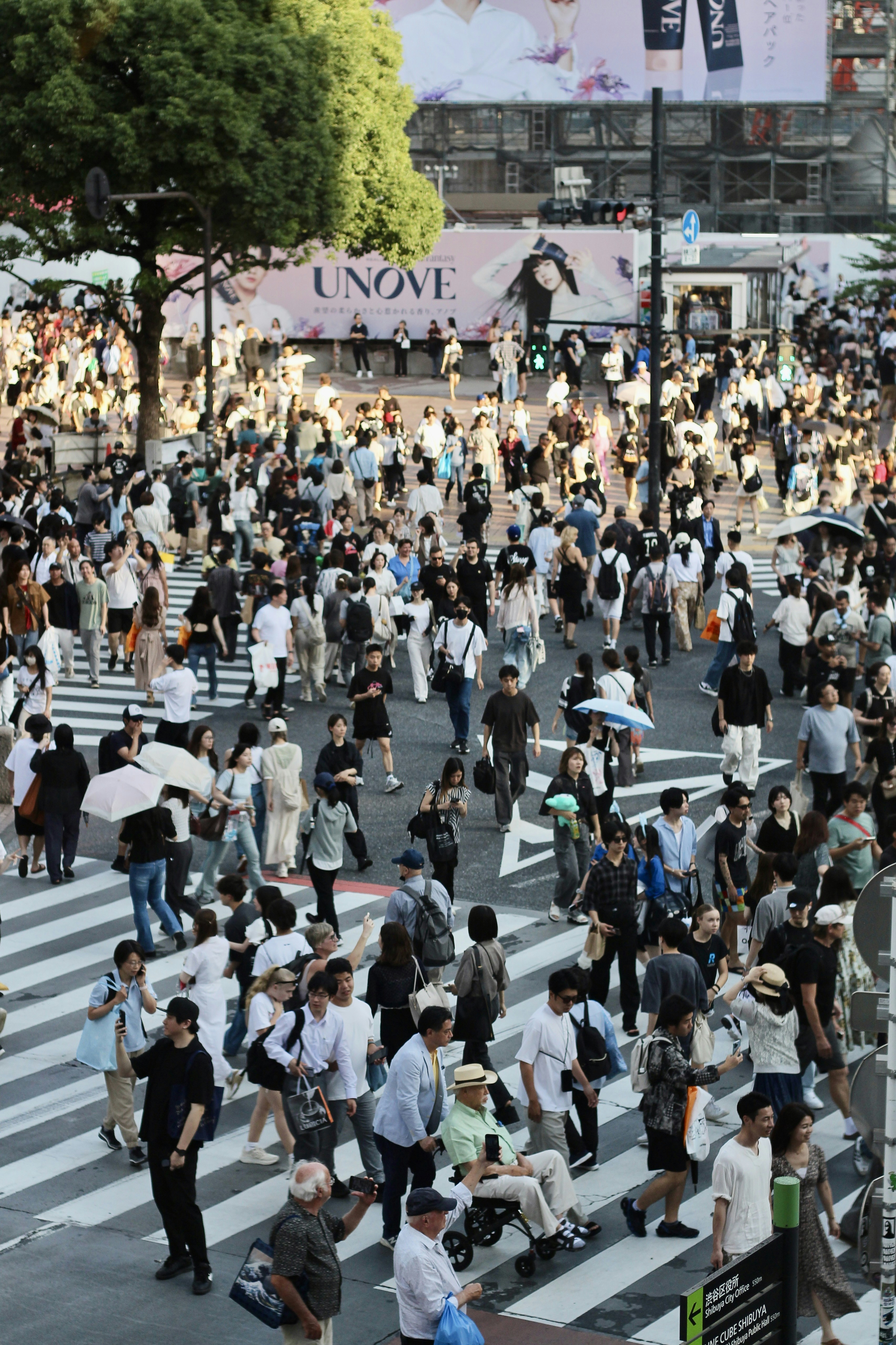 Crosswalks of Motion: A Busy City Square Framed by a Shared Moment