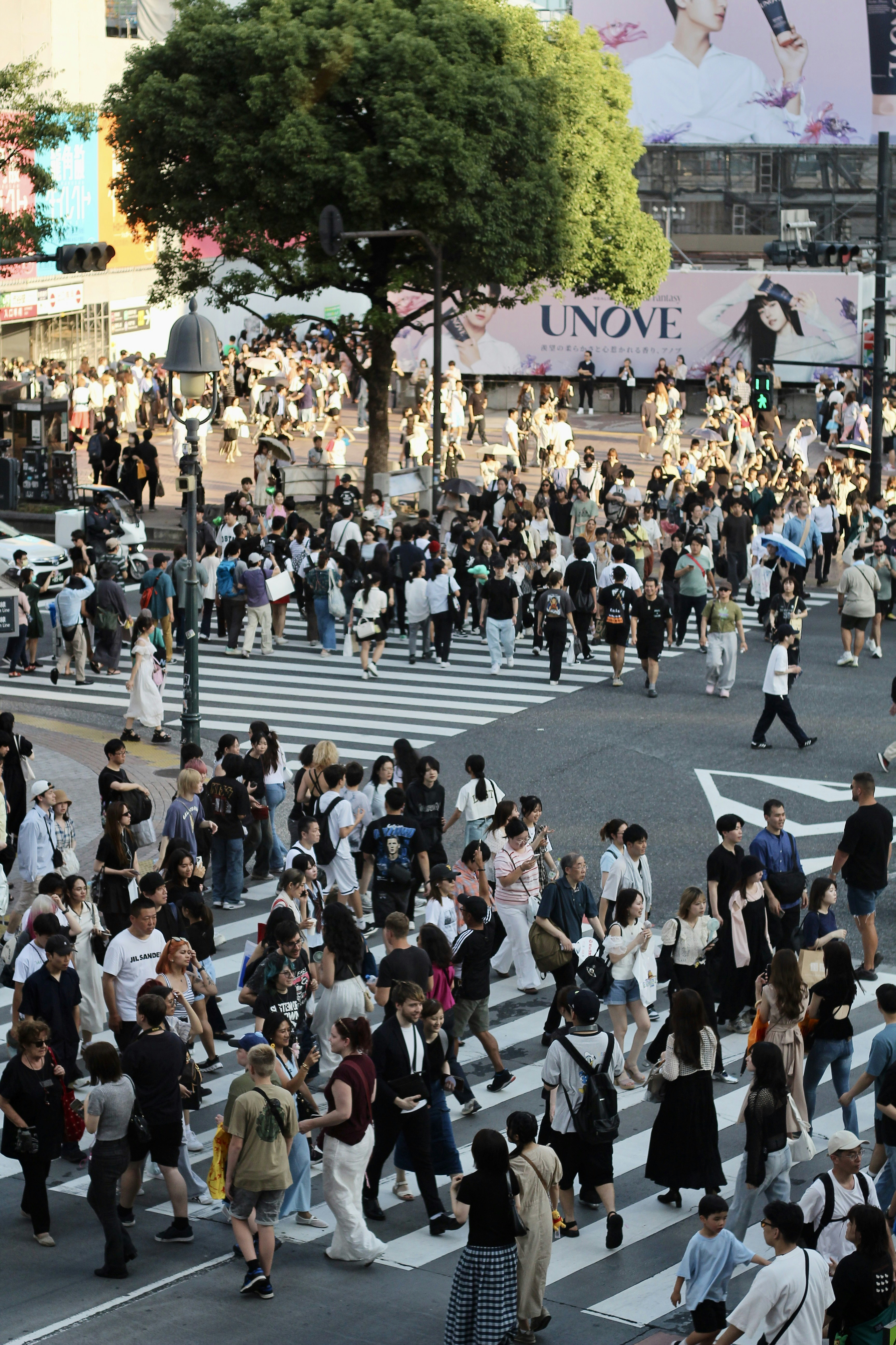 Crowd Crossing: A Busy Tokyo Intersection in the Golden Hour