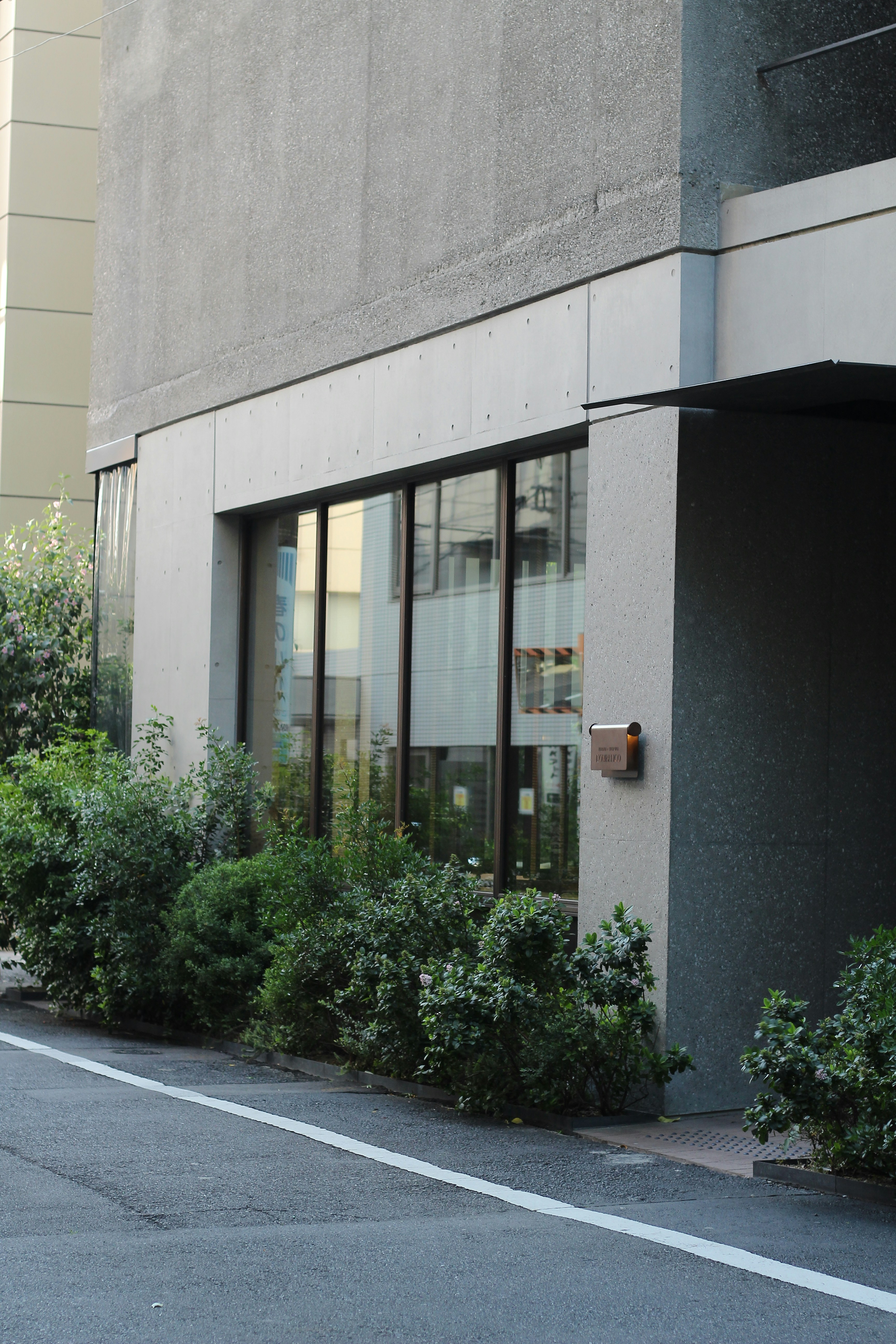 Urban Facade: Quiet Greenery Meets Concrete Edges