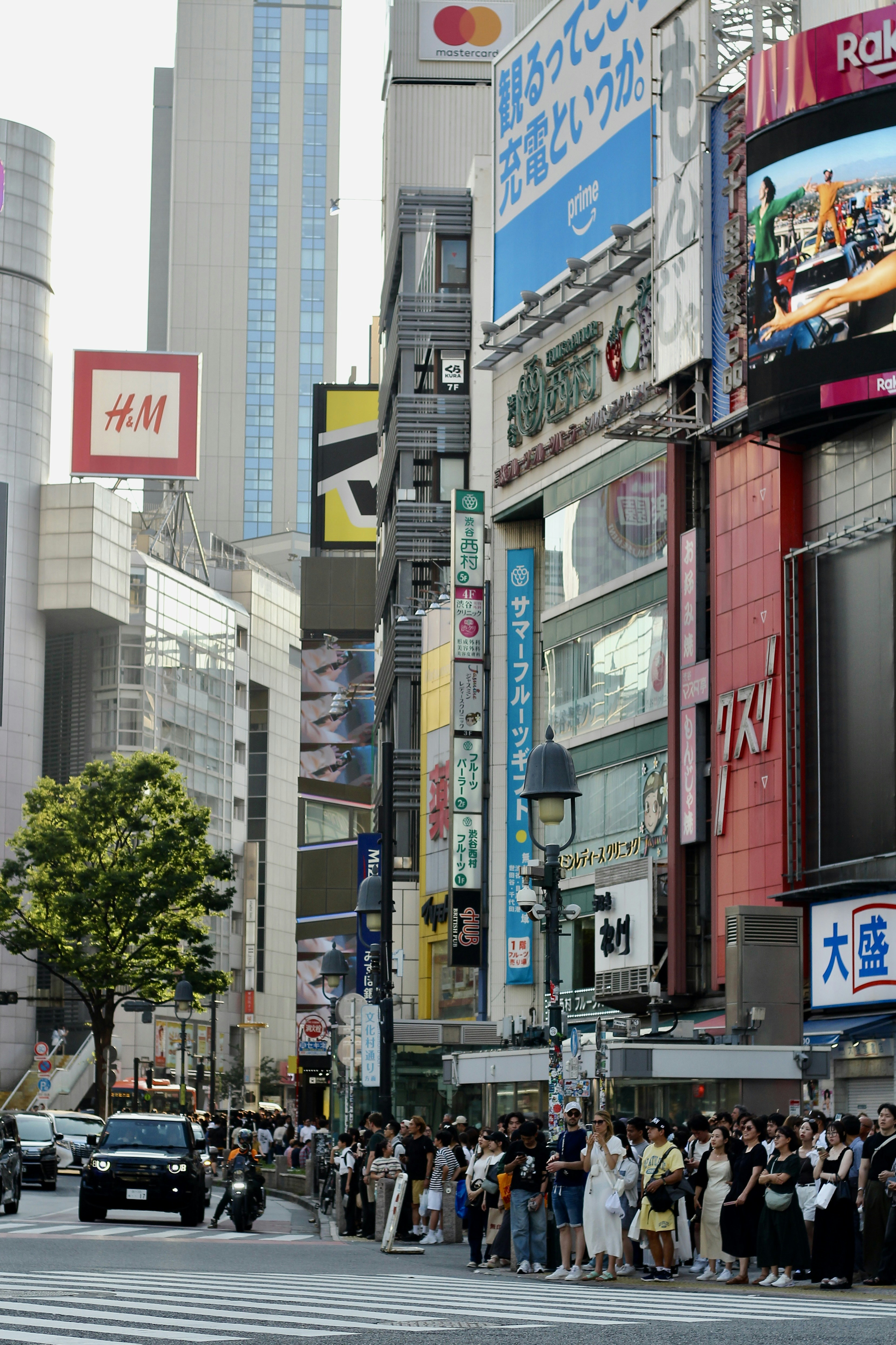 City Pulse: The Crosswalk Gallery of Shibuya