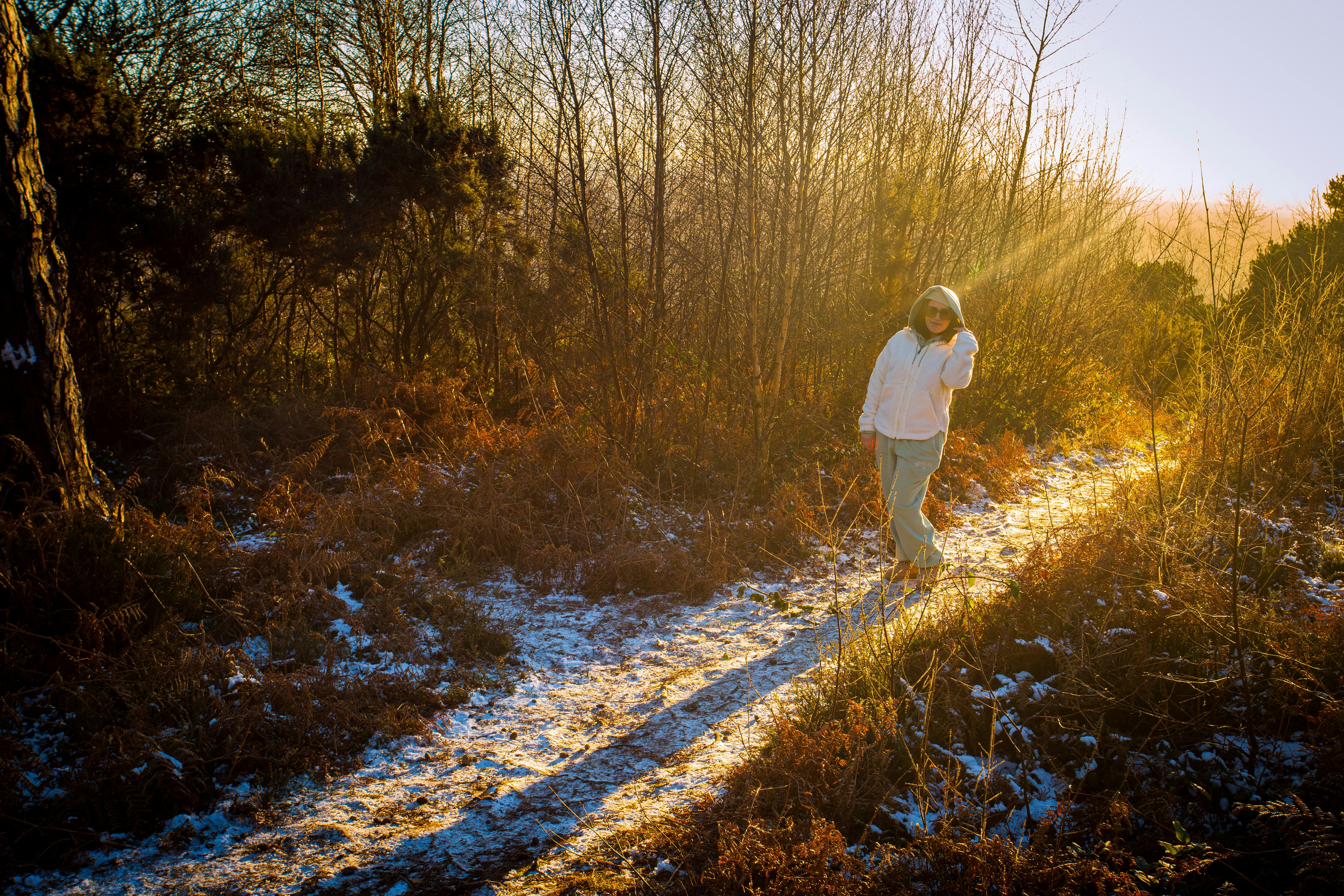 Winter Sunset Walk: A lone figure stride through frosted glow
