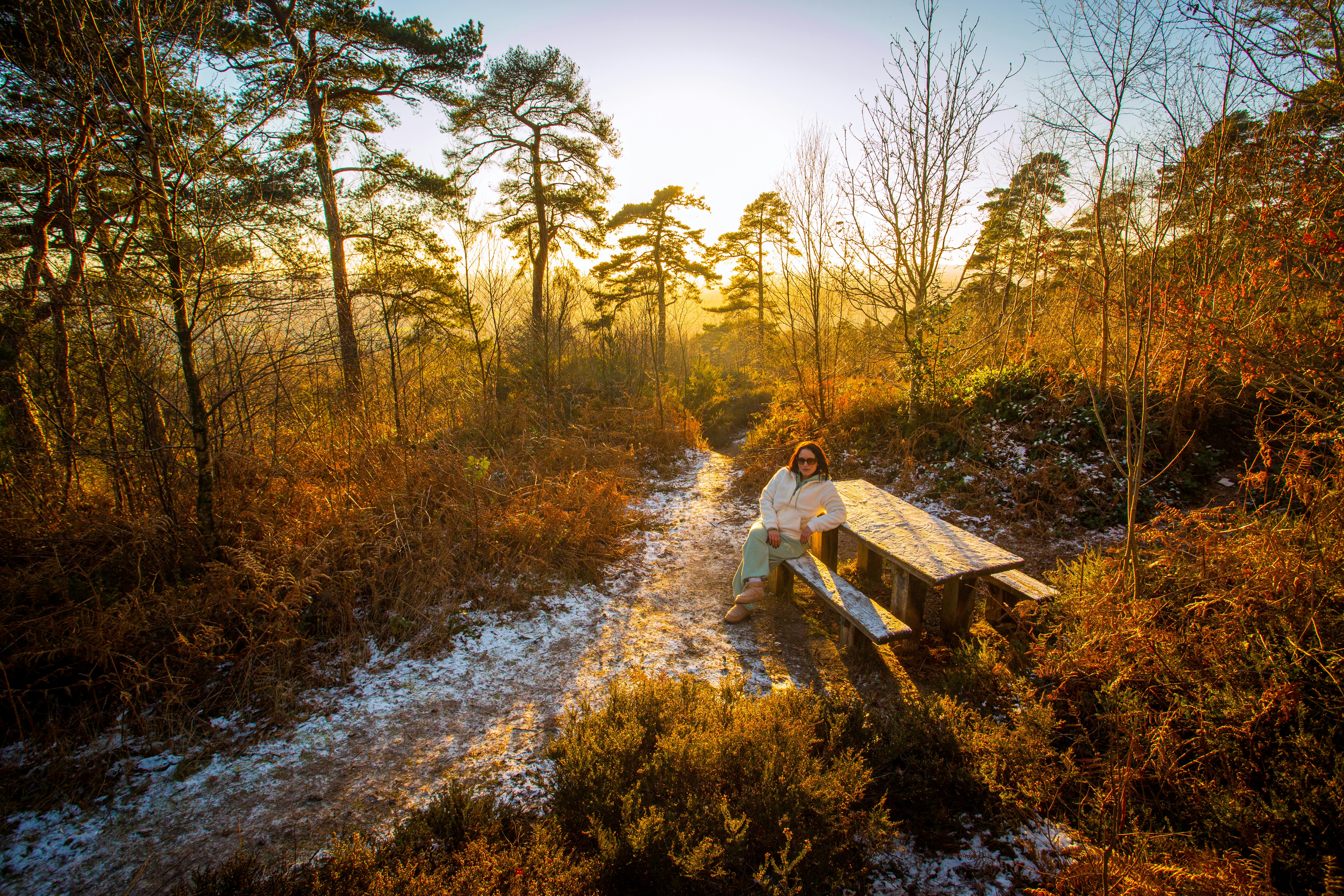 Sunlit Clearing: A Woman Resides on a Weathered Picnic Bench