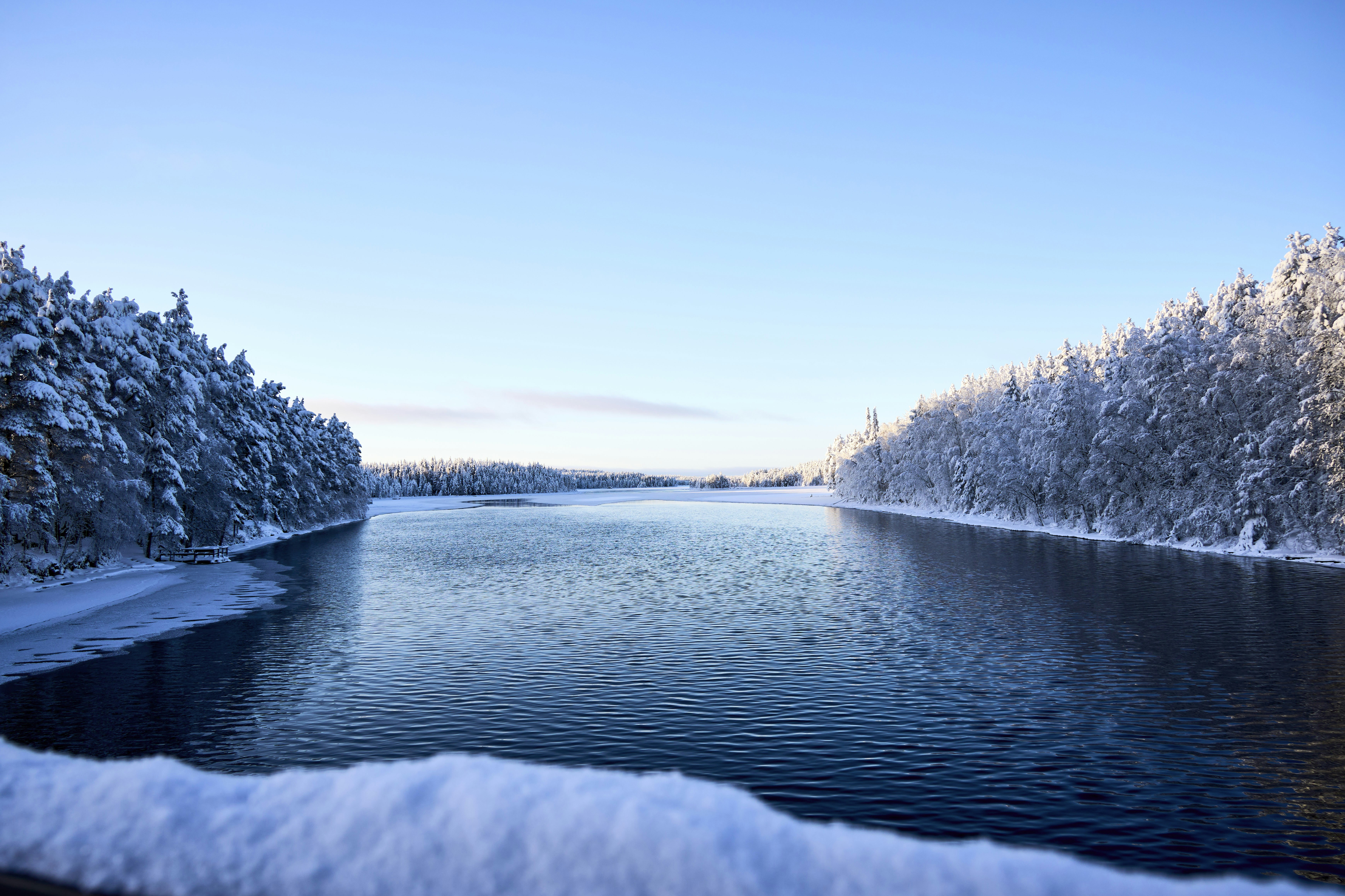 Ivory Banks: A Winter River Bounded by Snow-Crowned Pines