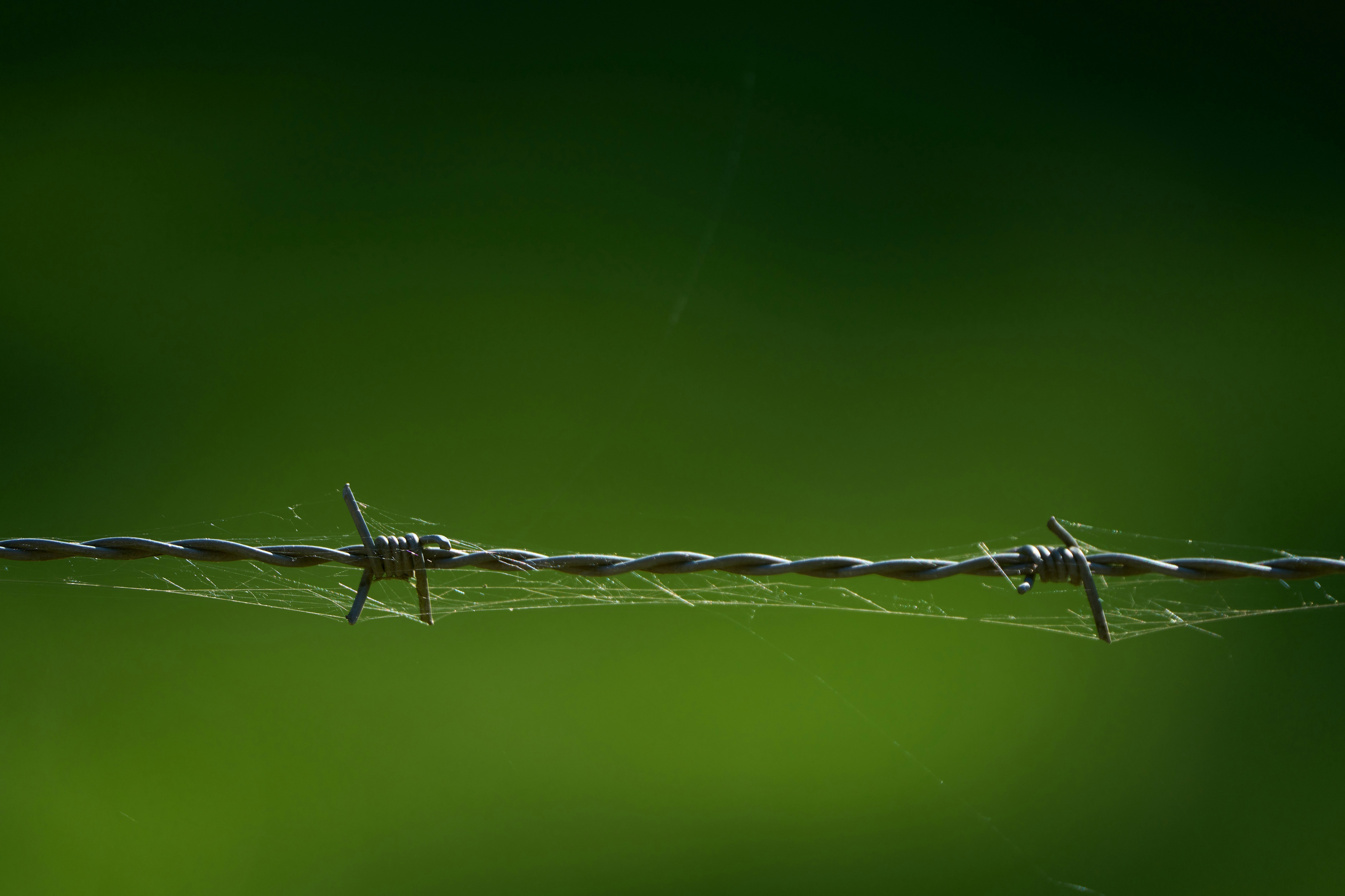 Close-up of a barbed wire strand stretched across a soft green background, emphasizing texture and tension without visible subjects.
