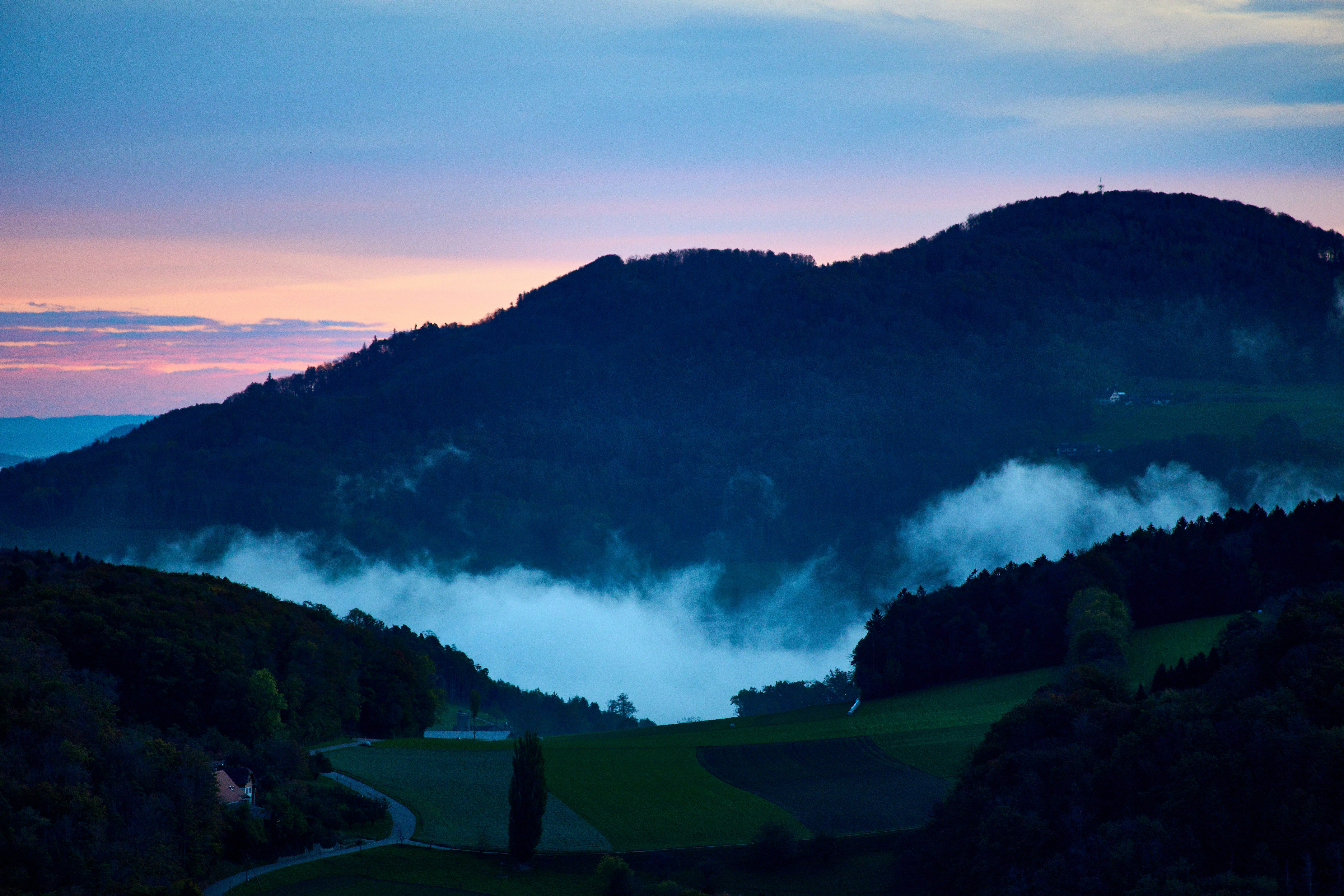 Fog-cloaked valley at blue-hour over rolling hills