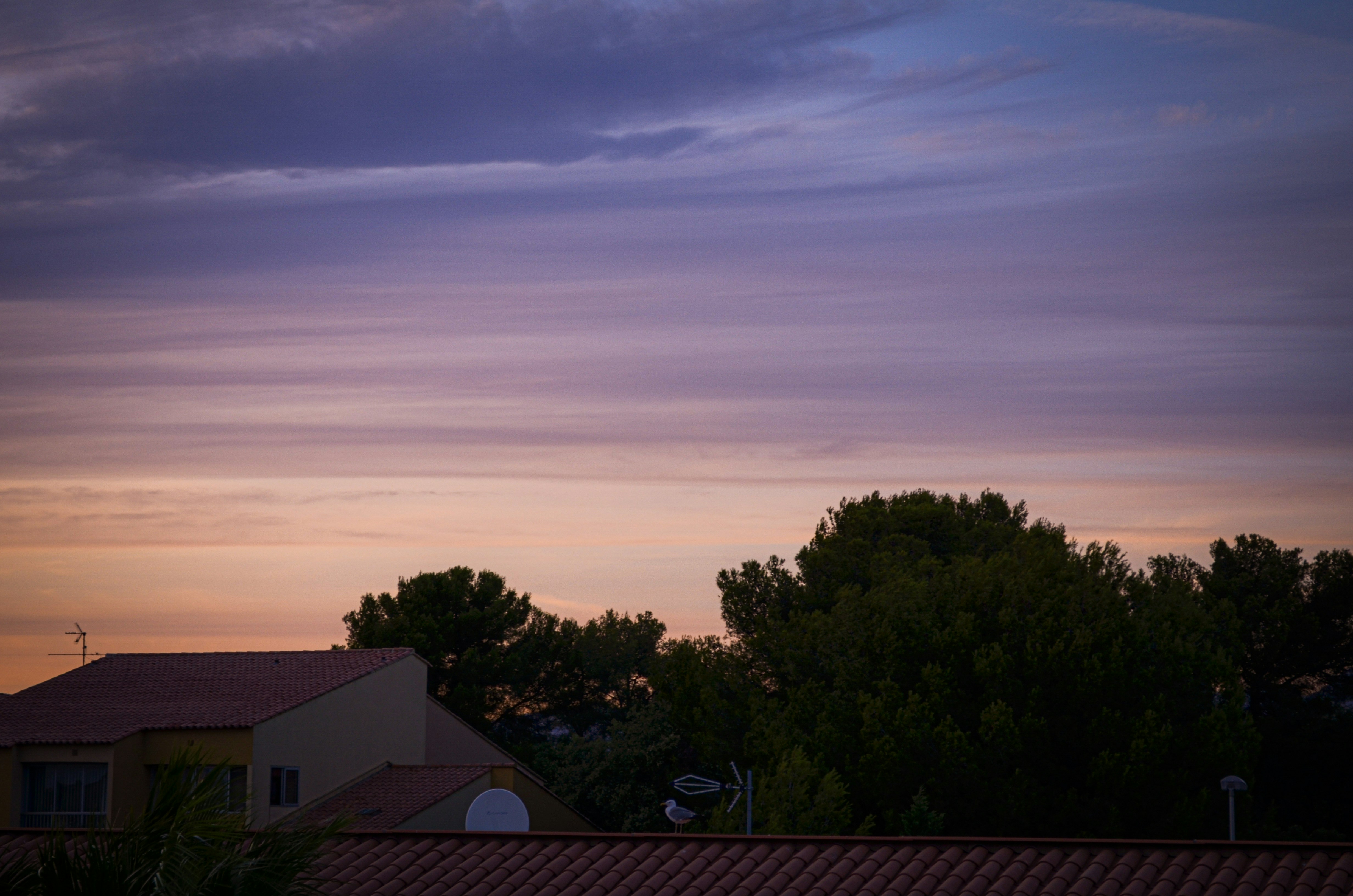 Evening Rooftops Beneath a Velvet Sky