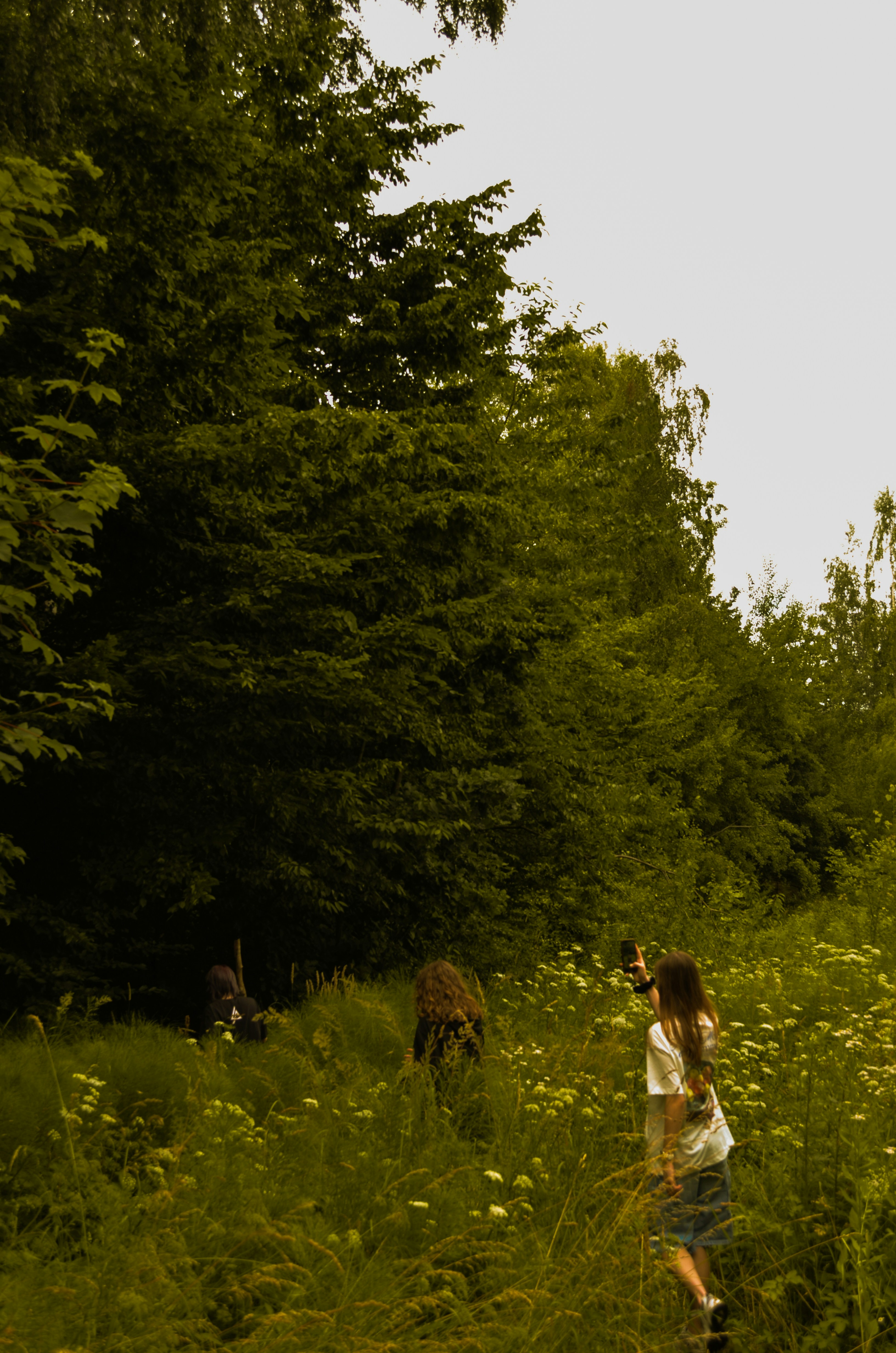 Field Portrait: A girl with a camera discovers a wildflower meadow