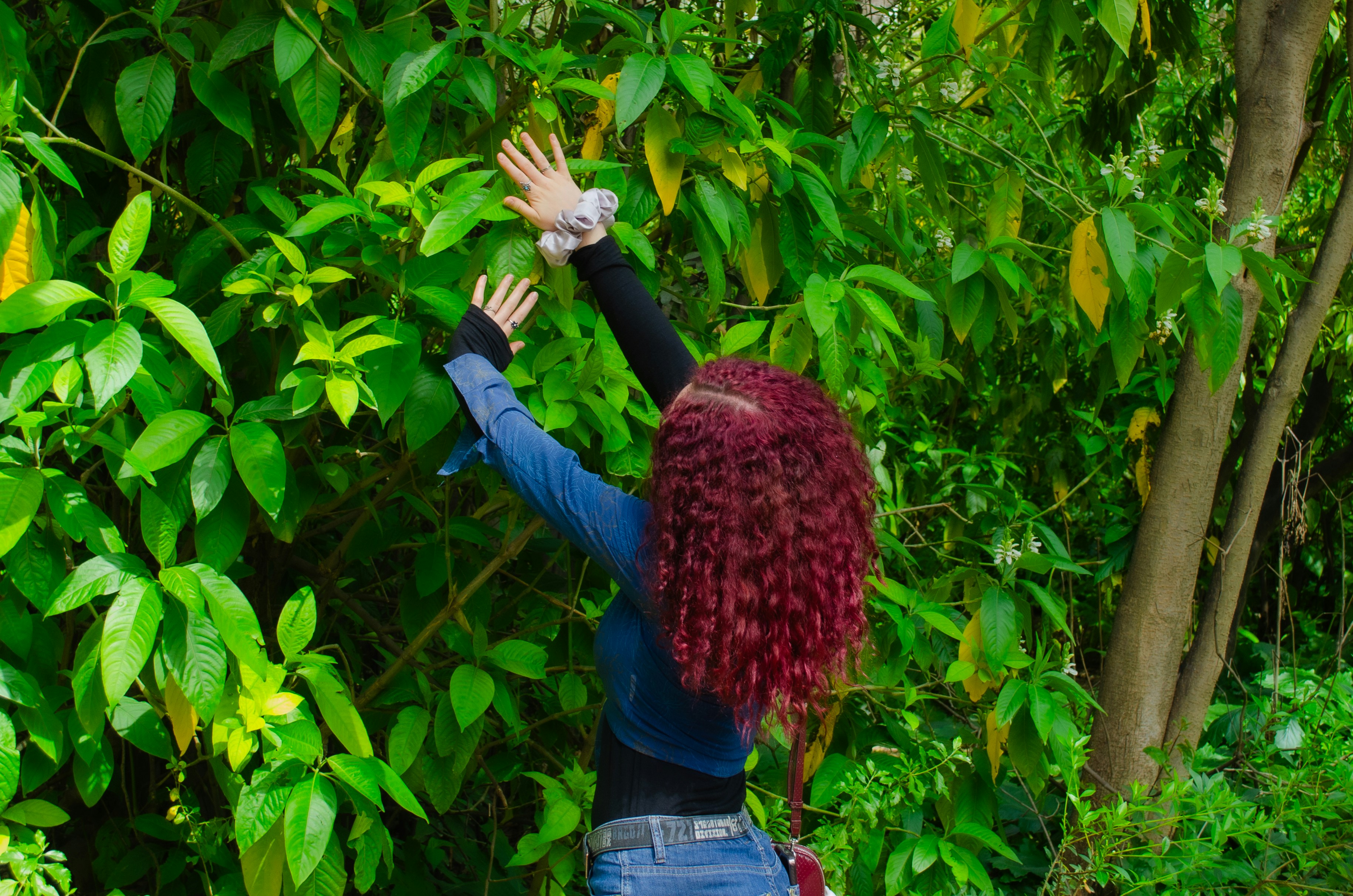 A person with curly magenta hair reaching toward green leaves in a forest