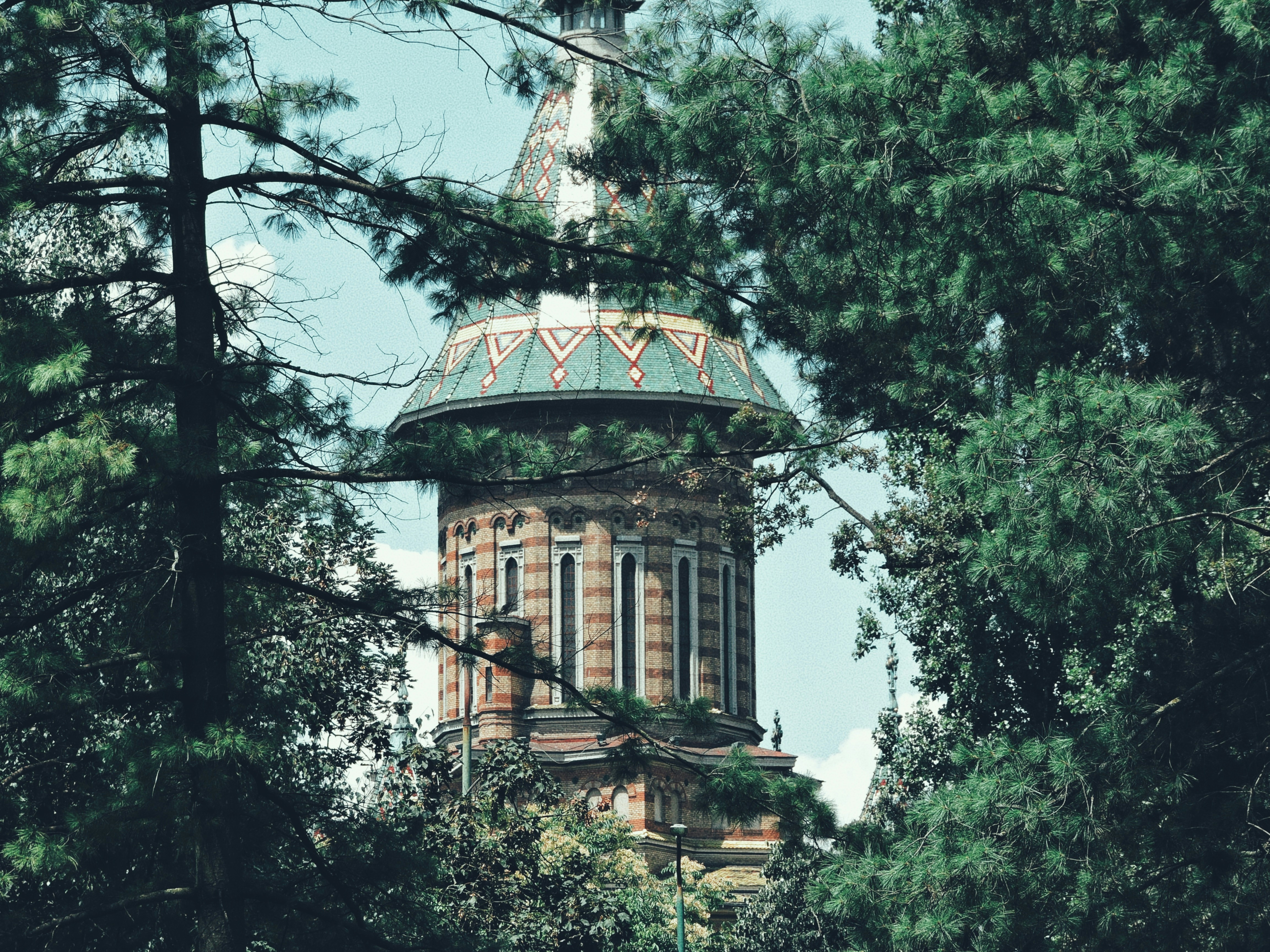Stone tower rising through dark cedar branches; architectural details framed by foliage, suggesting a quiet, secluded monument scene.