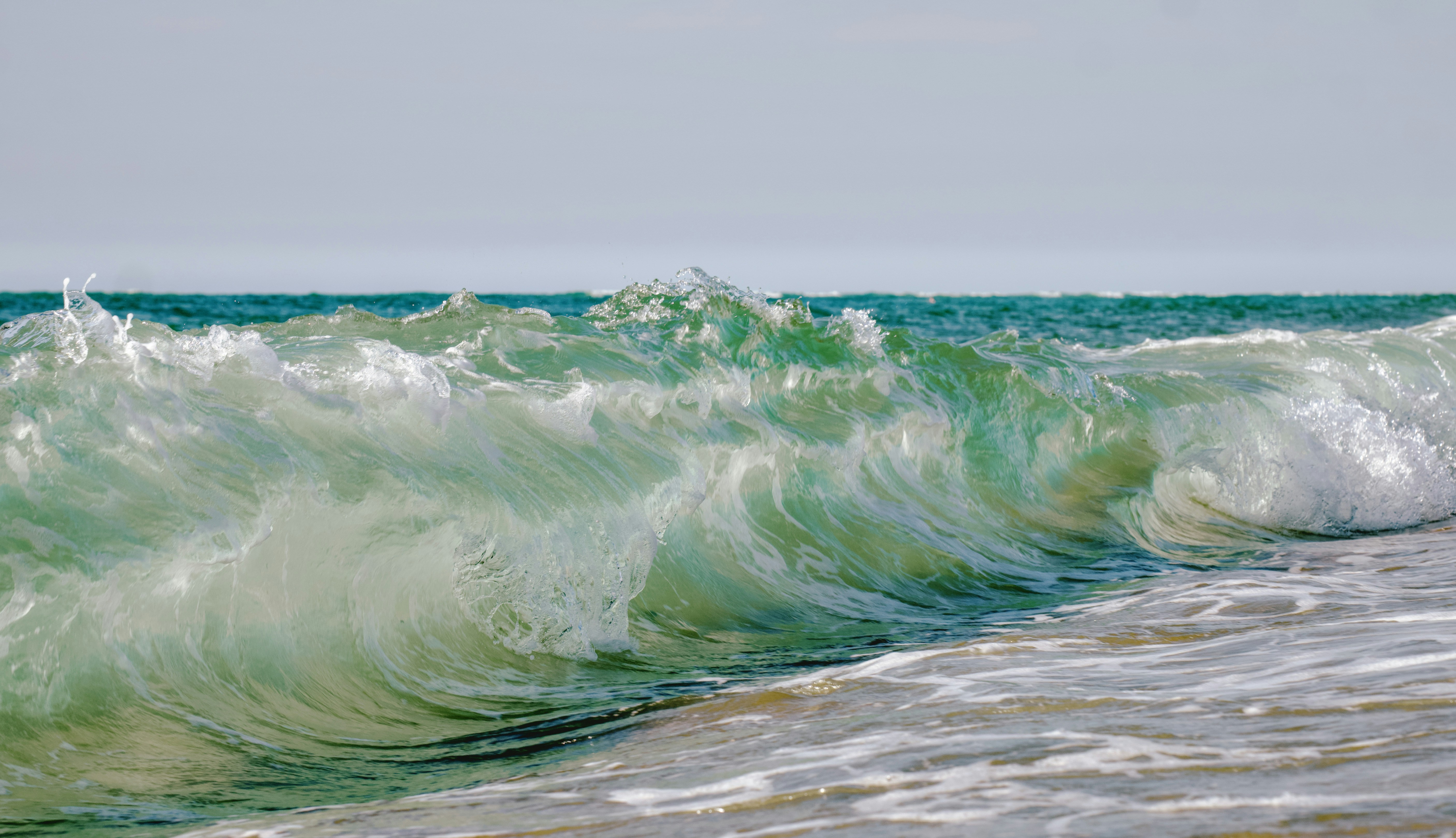 Crescent Green Wave Cresting toward the Shore
