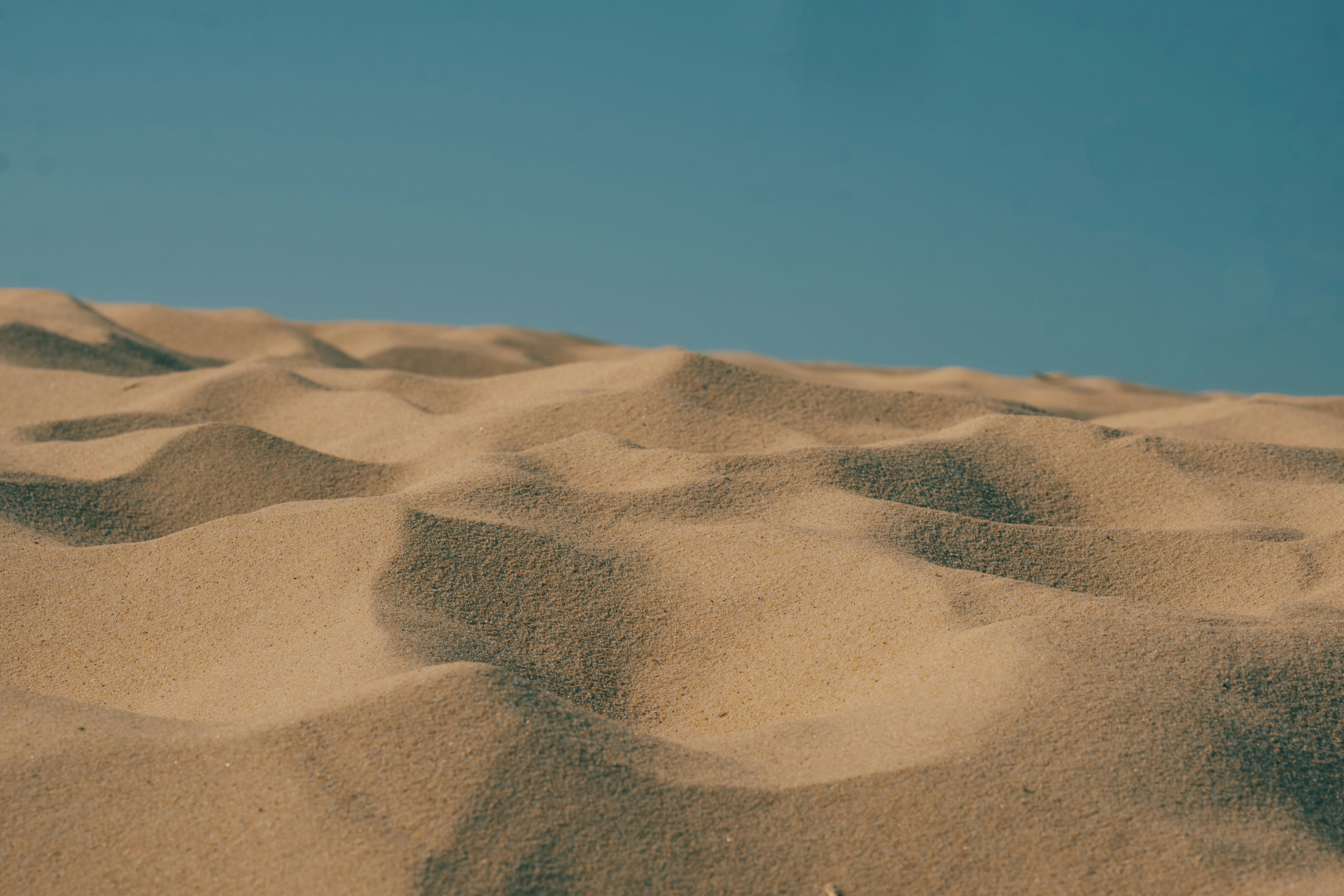 Golden Dunes under a Clear Sky
