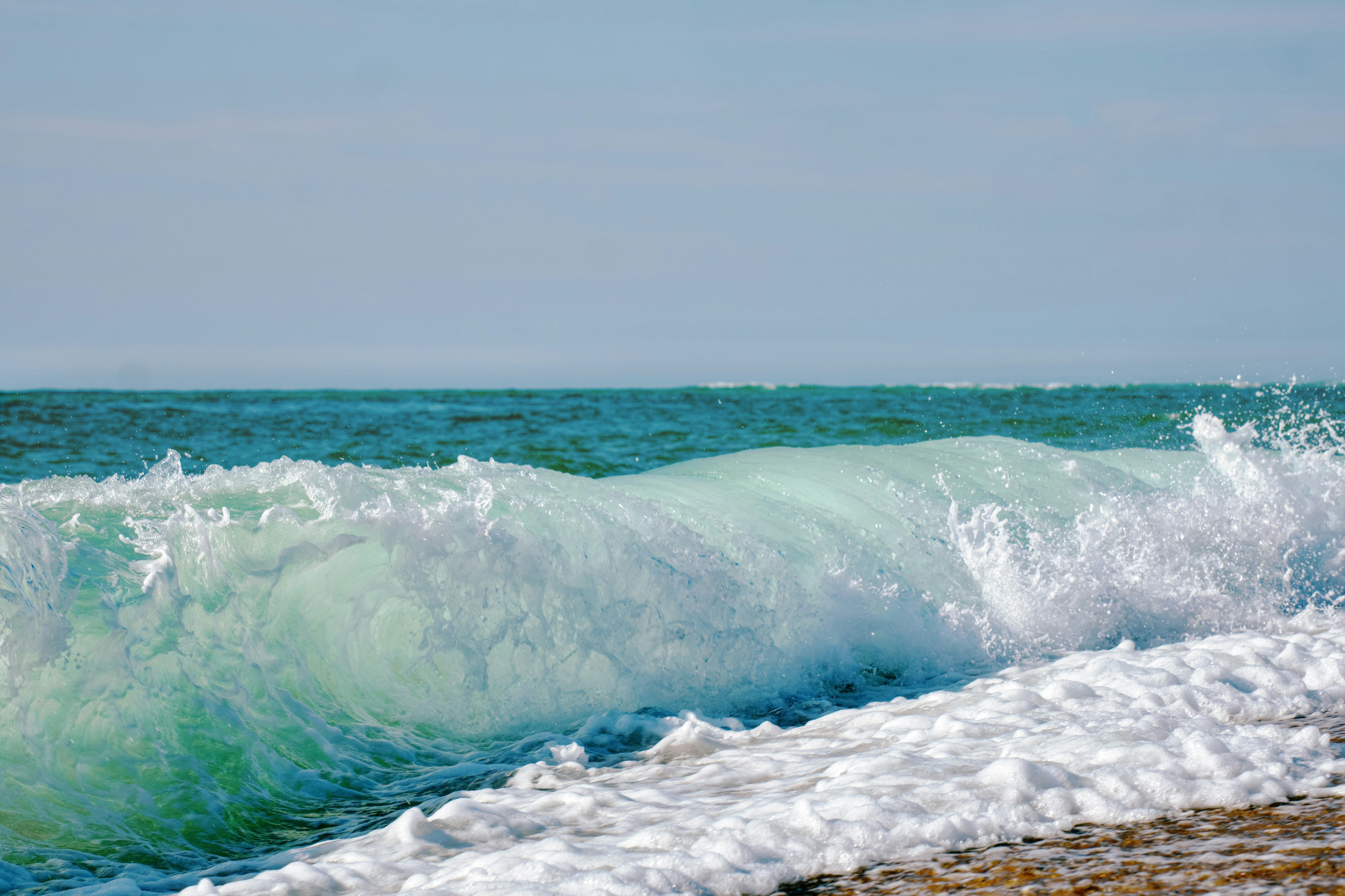 A Cresting Green Wave at a Shimmering Shore