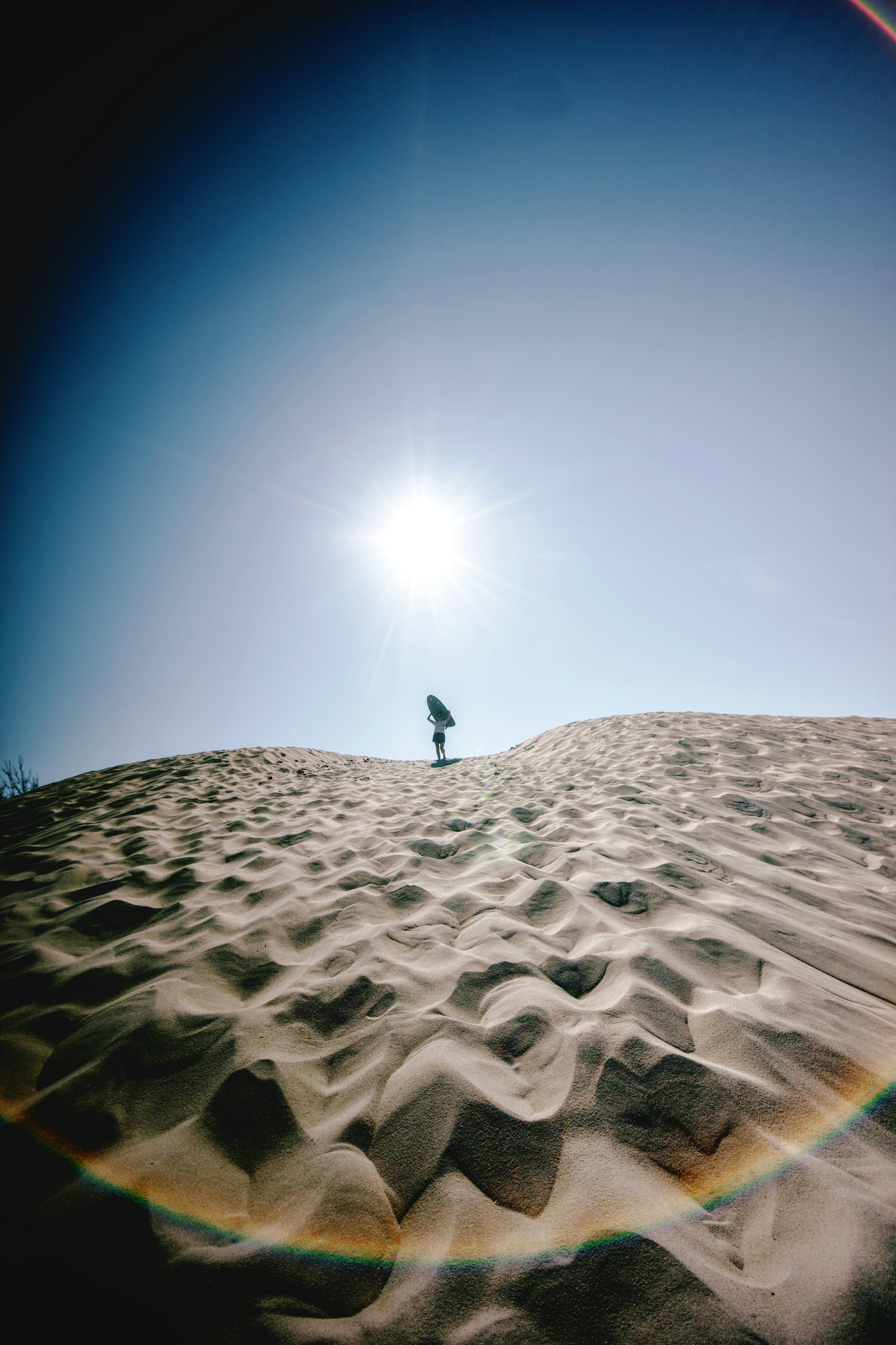 Alcove of Light: A Lone Surfer at Dune's Crest Beneath a Haloed Sun