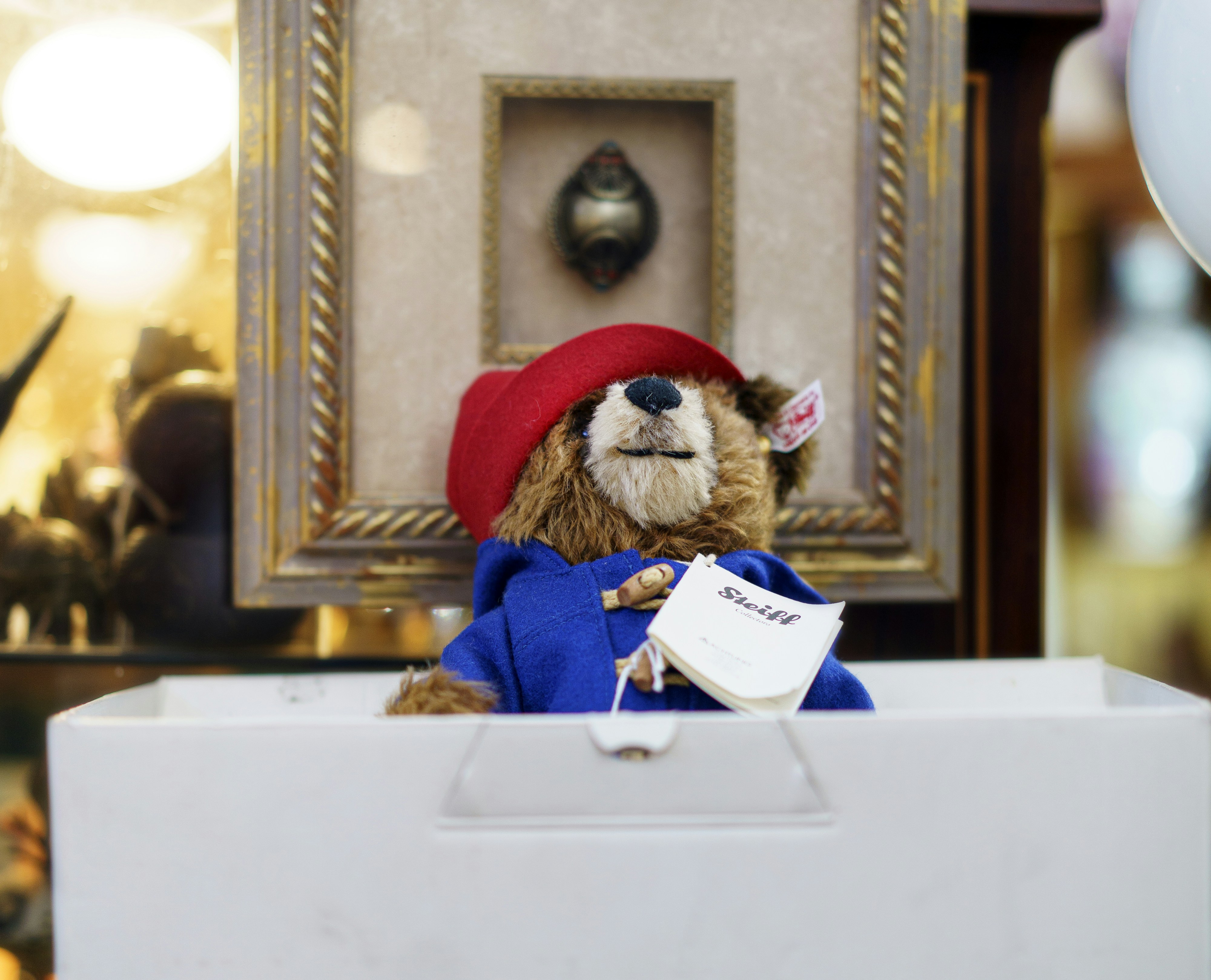 Librarian Bear in a Red Hat Emerges from a White Box
