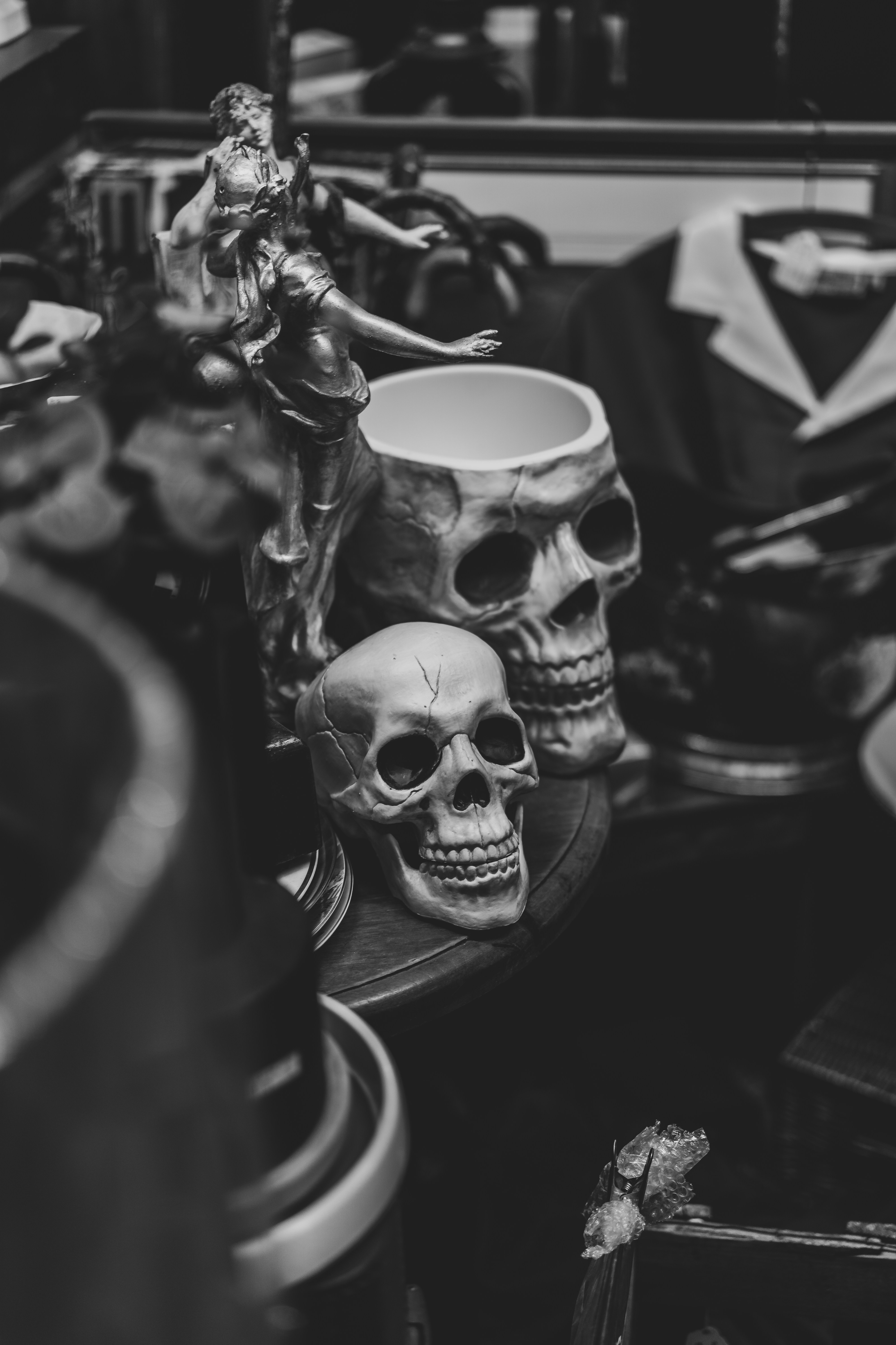 Skull Conservatory: A Quiet Corner of Sculpted Relics