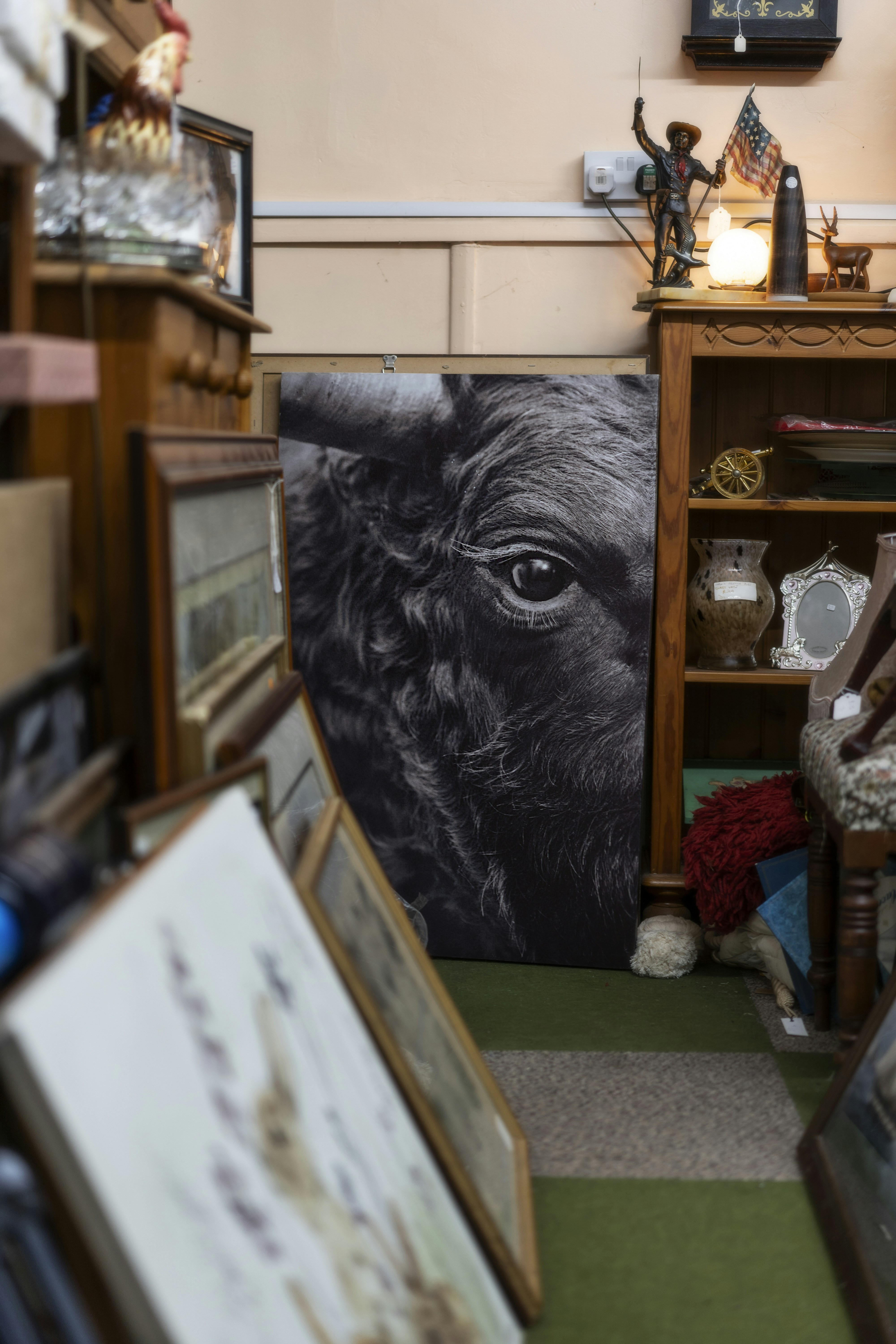 Close-up at the Edge of a Curio Room: A monochrome Buffalo Portrait Anchors a Vintage Display