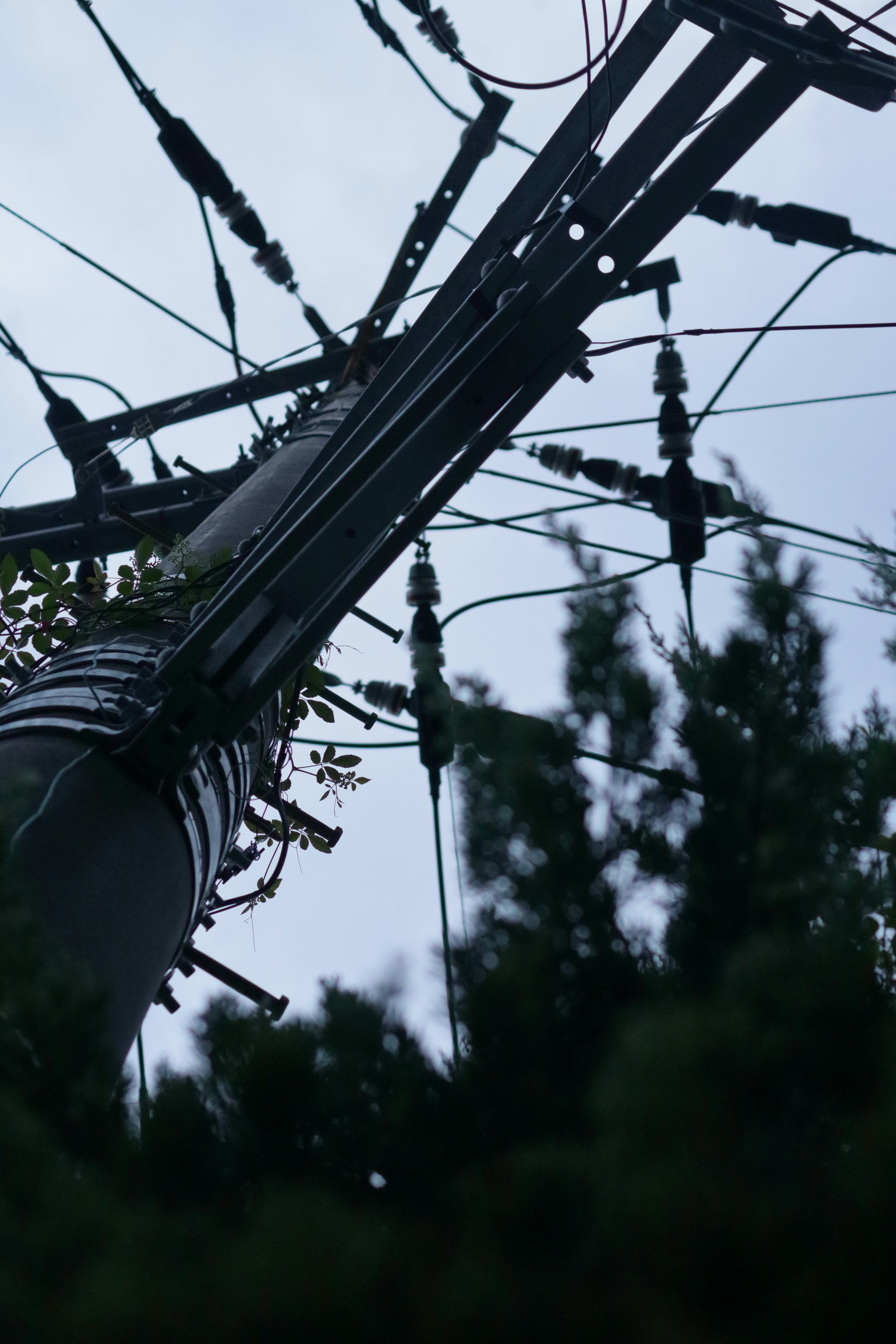 Towering Wires: A Close-Up of the Upper Mast and Cables