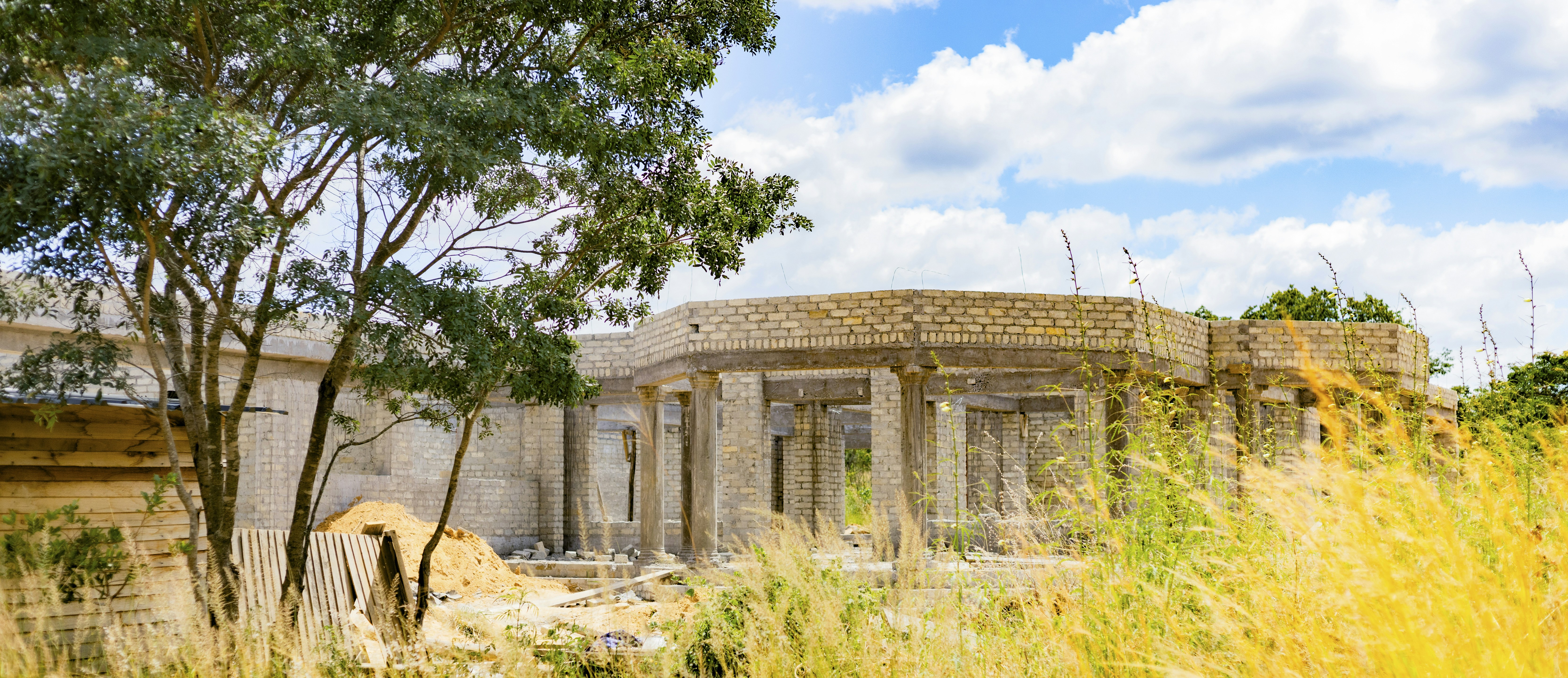 Sunlit ruin with stone columns rises behind tall grasses under a bright sky; a cinematic, unfinished building framed by a tree and wild vegetation.