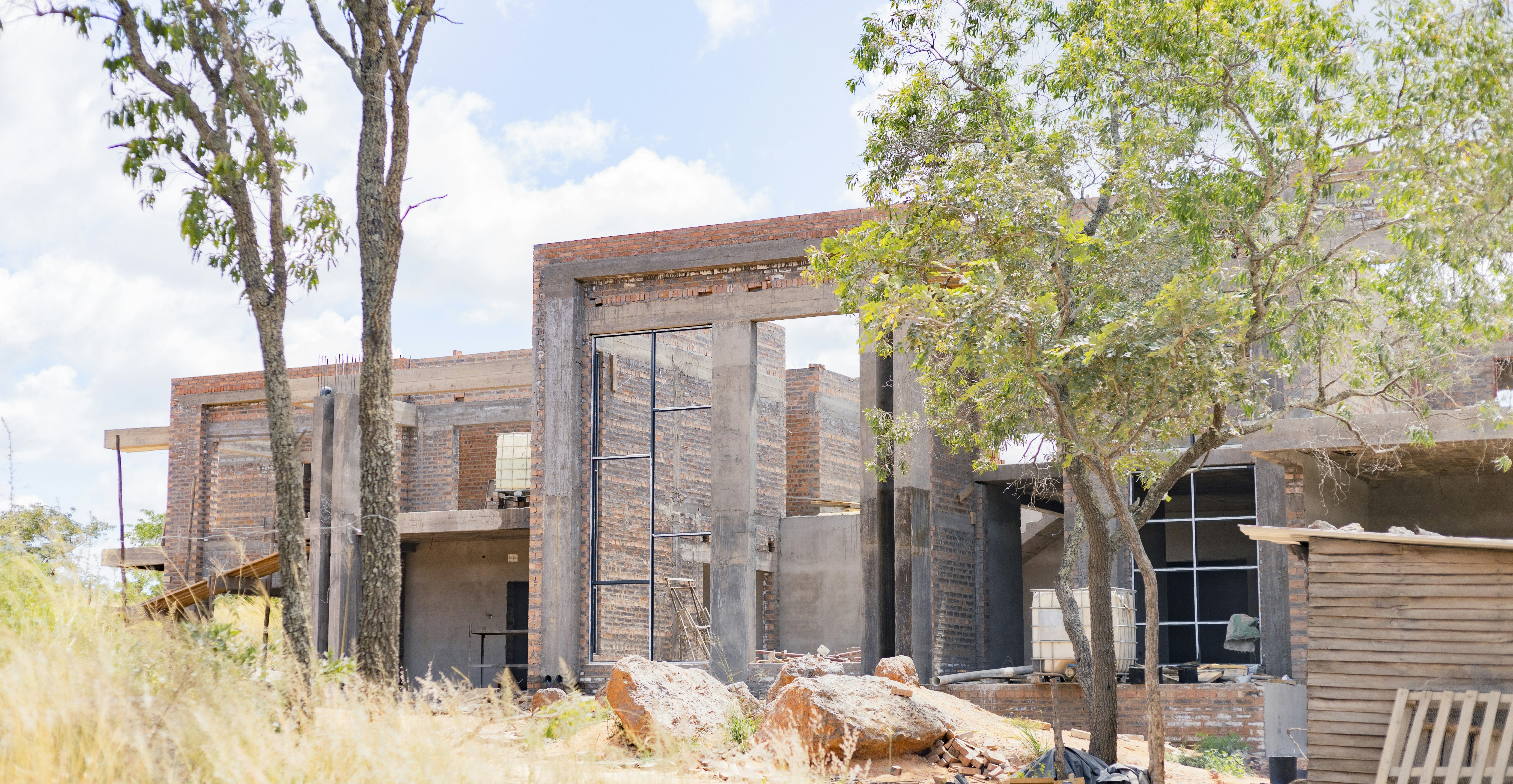 Under Construction: A Weathered Brick Facade Through Sunlit Trees