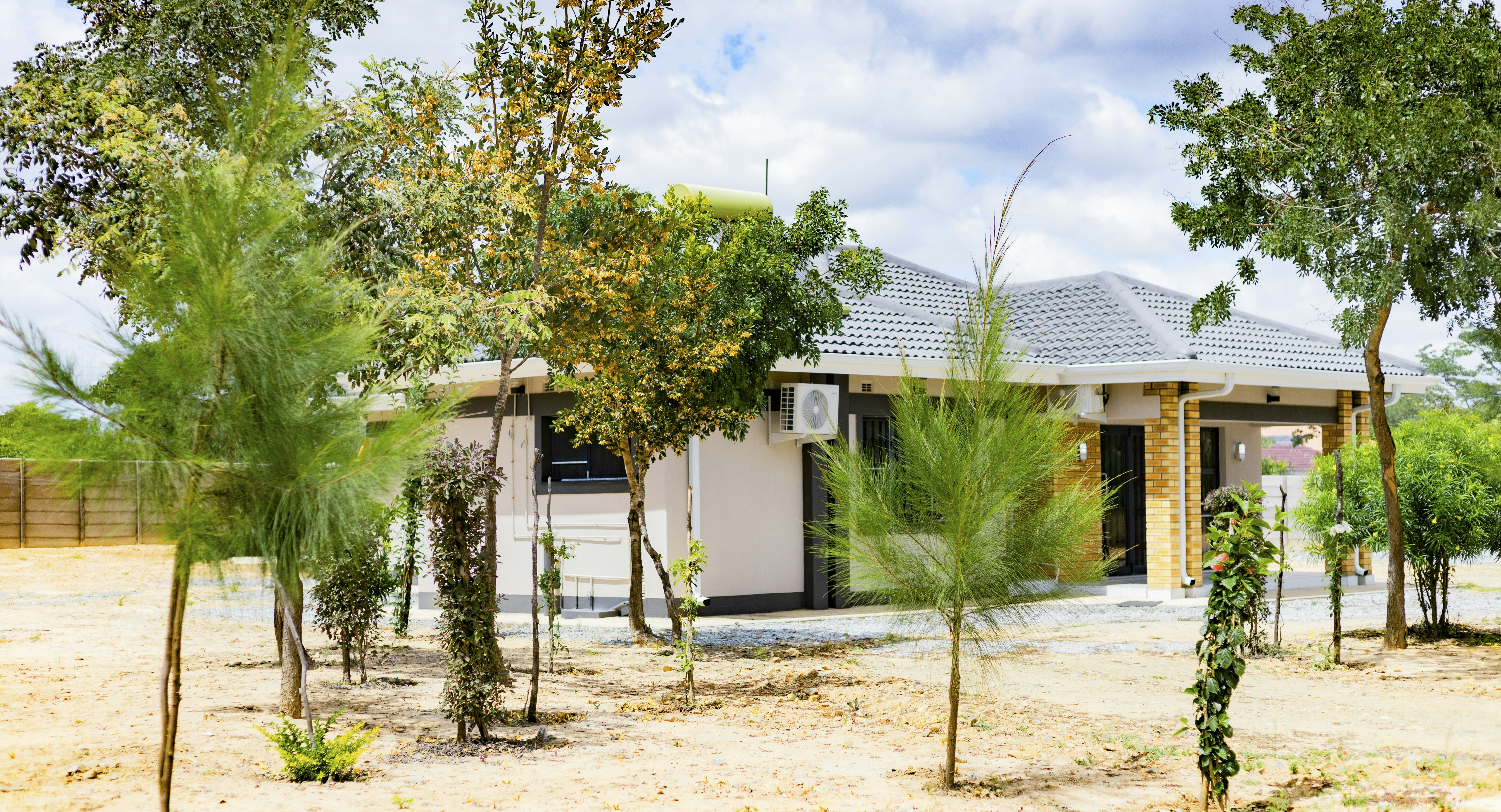 Suburban Sanctuary: A Quiet Home Amid Young Pines and Sunlit Yard