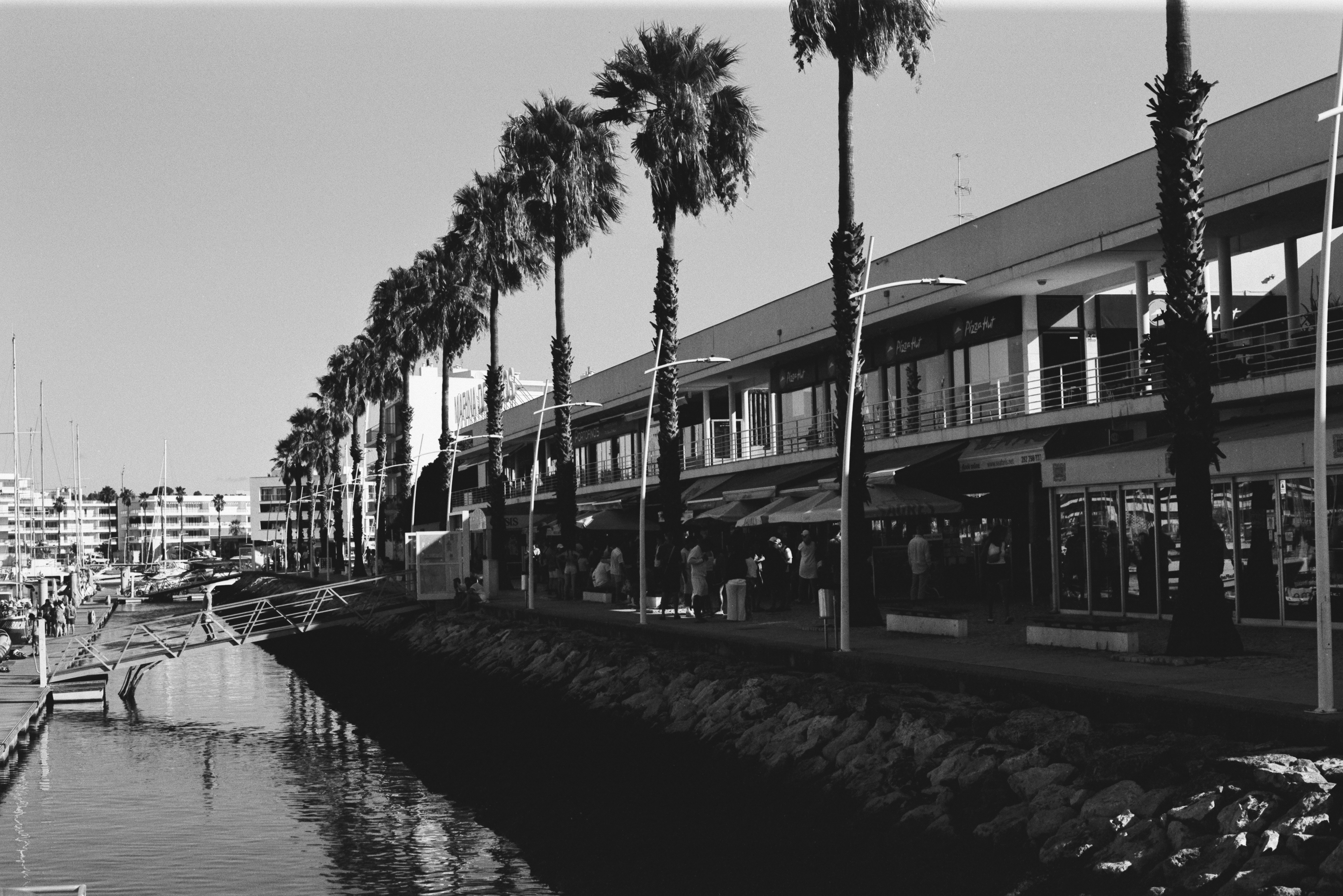 Palm-Tree Promenade Overlooking the Waterfront Arcade