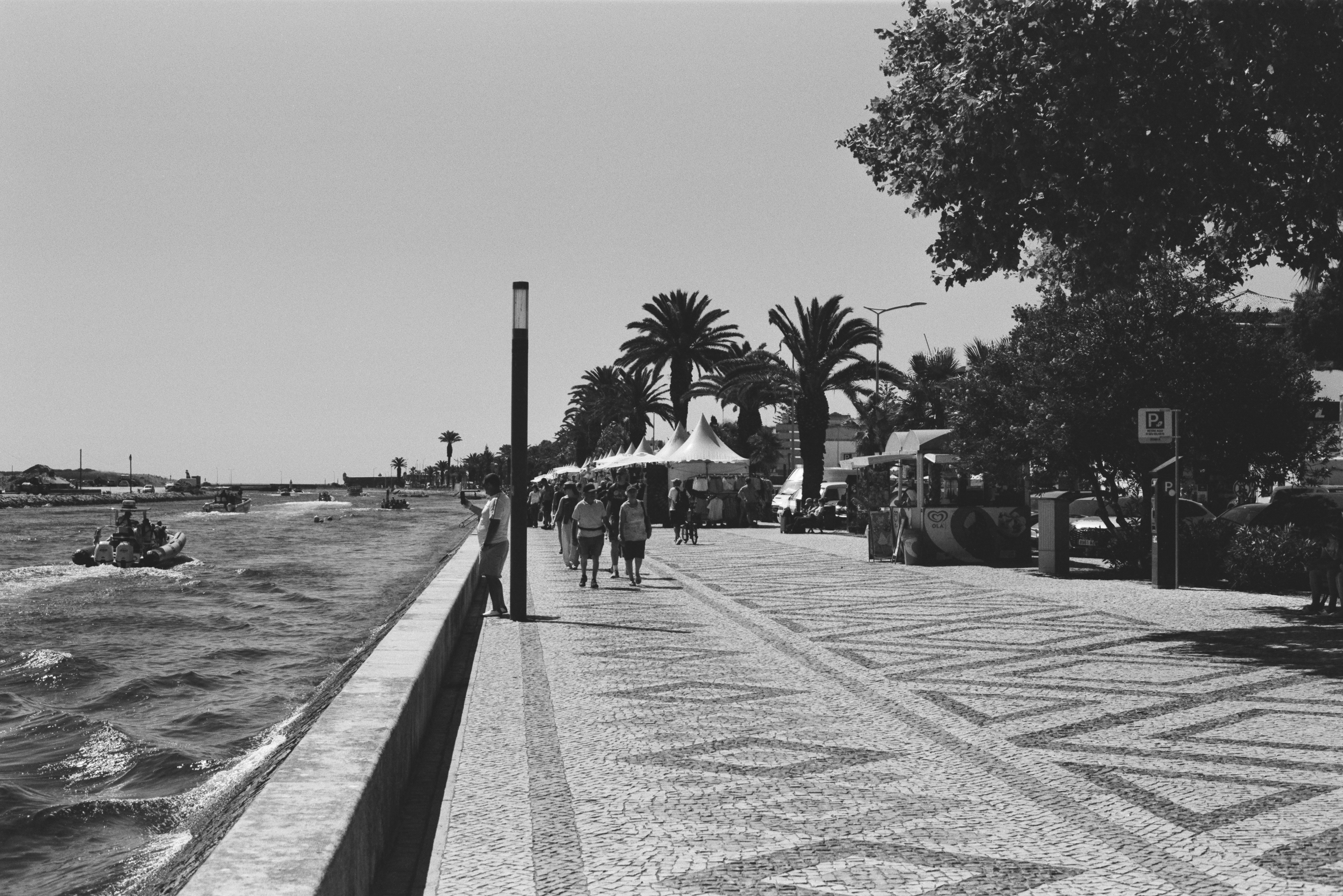 Lined Promenade by the Calm Sea