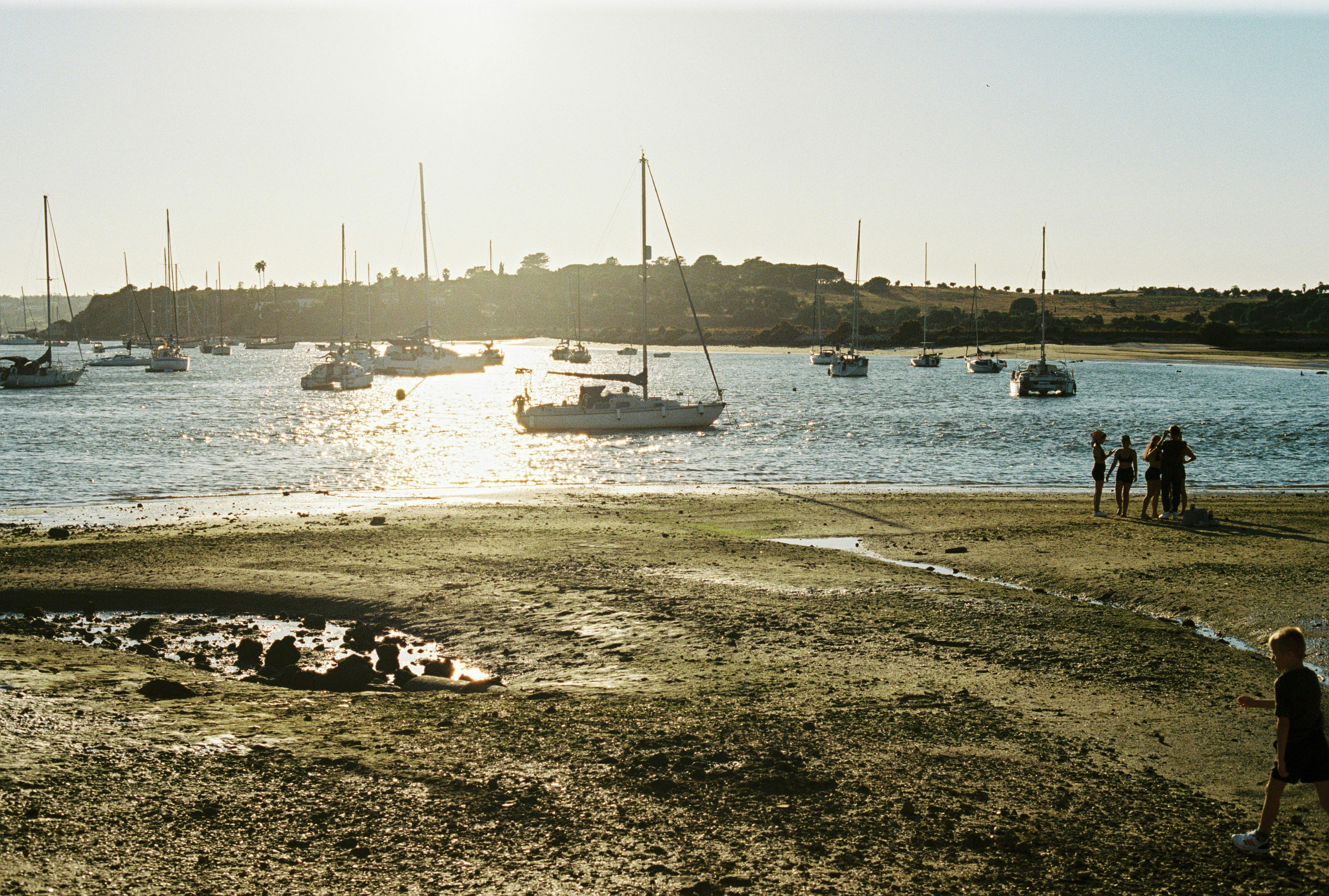 Sunlit Sails at the Quiet Estuary