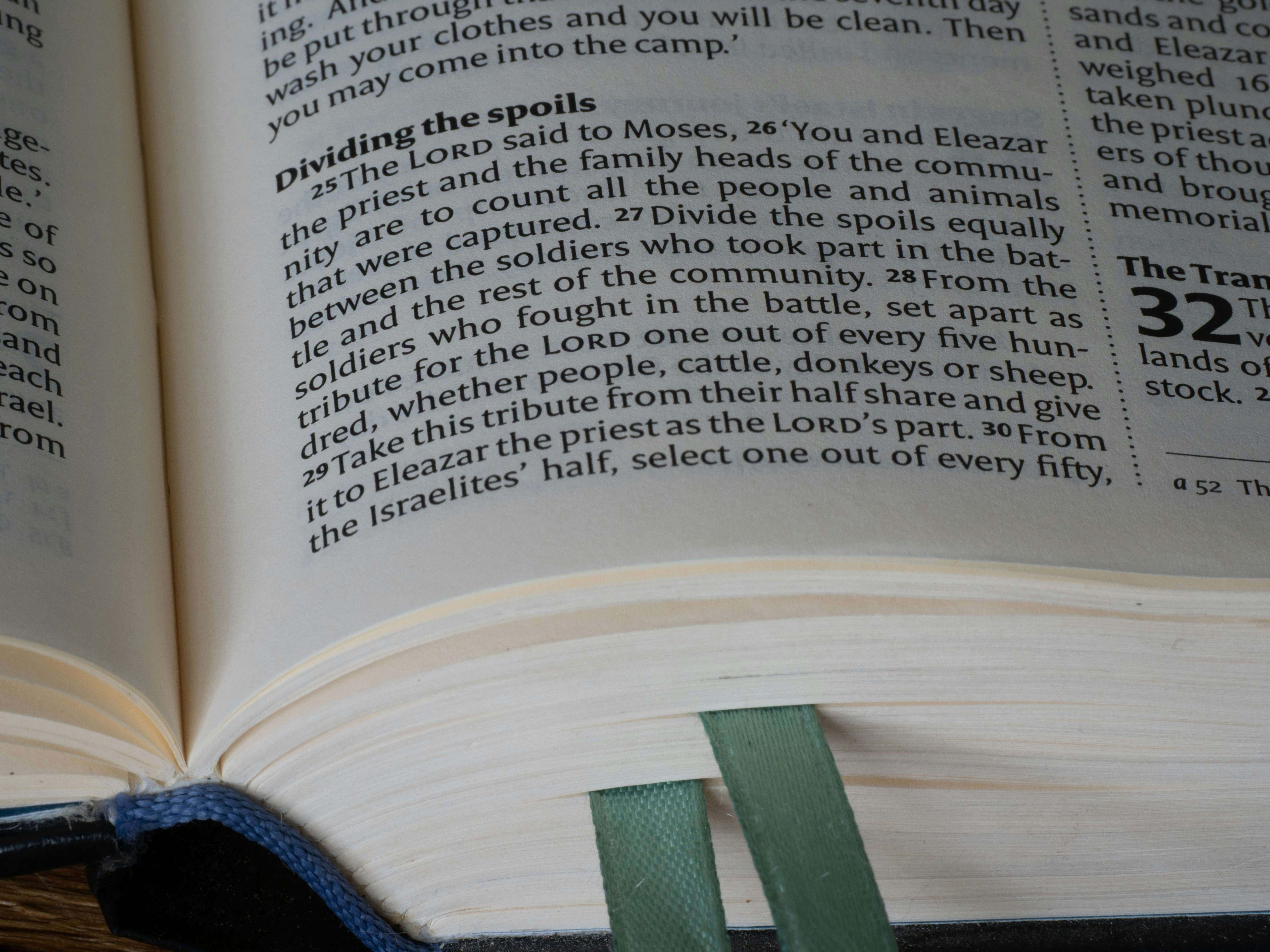 Margins of Focus: A Page’s Quiet Turn
