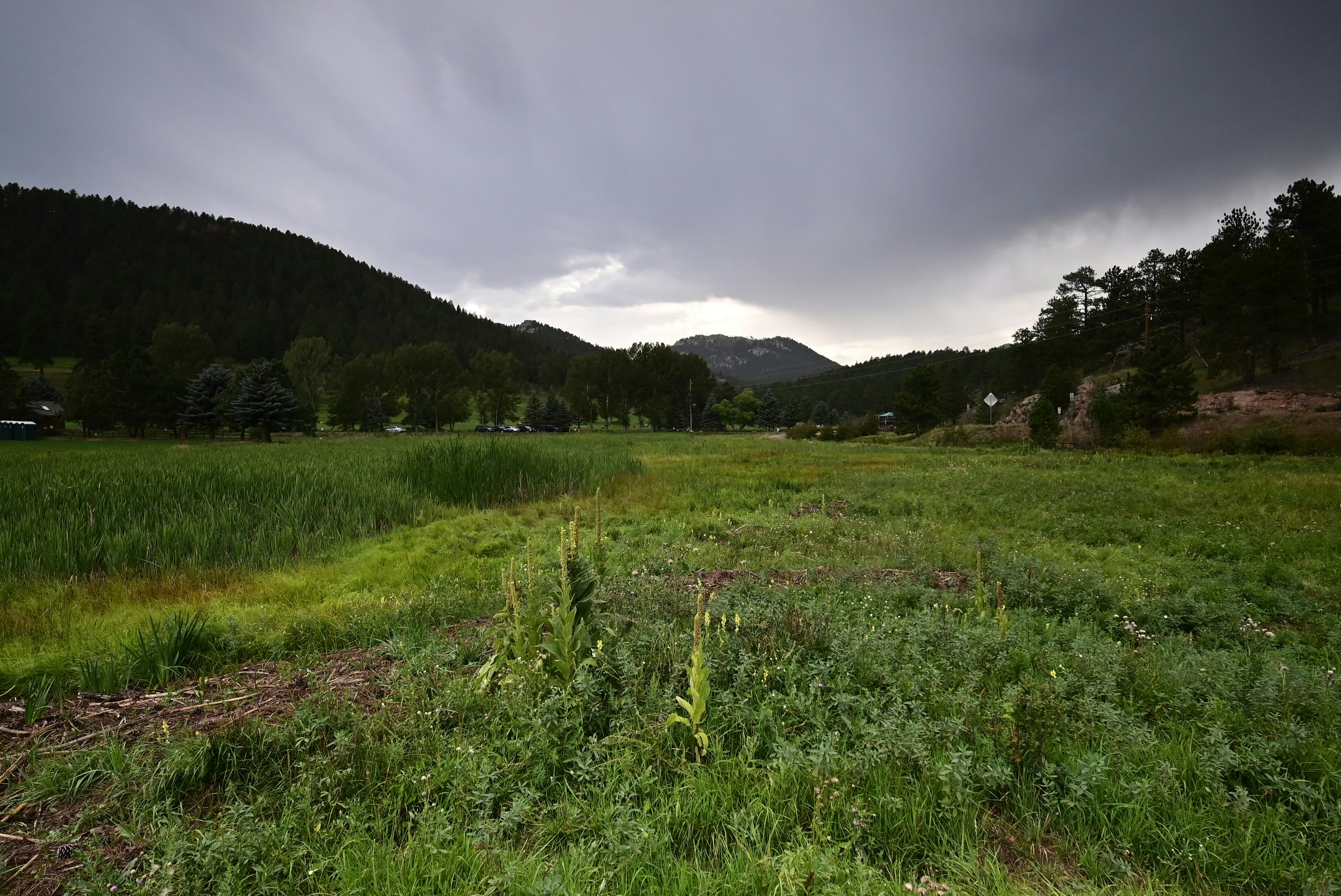 Low-lying Meadow under a Looming Sky