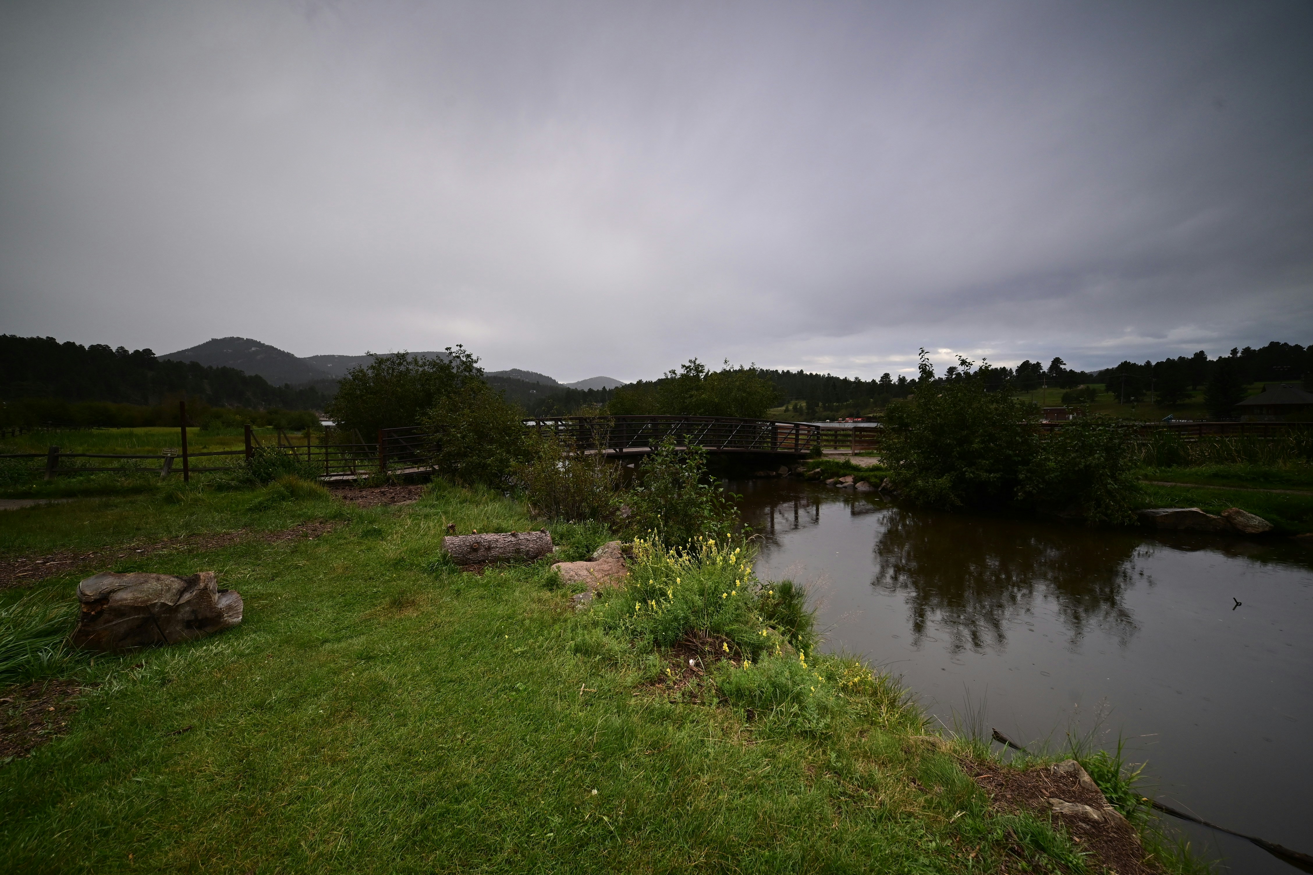 Quiet Park Overlook by a Gentle Pond