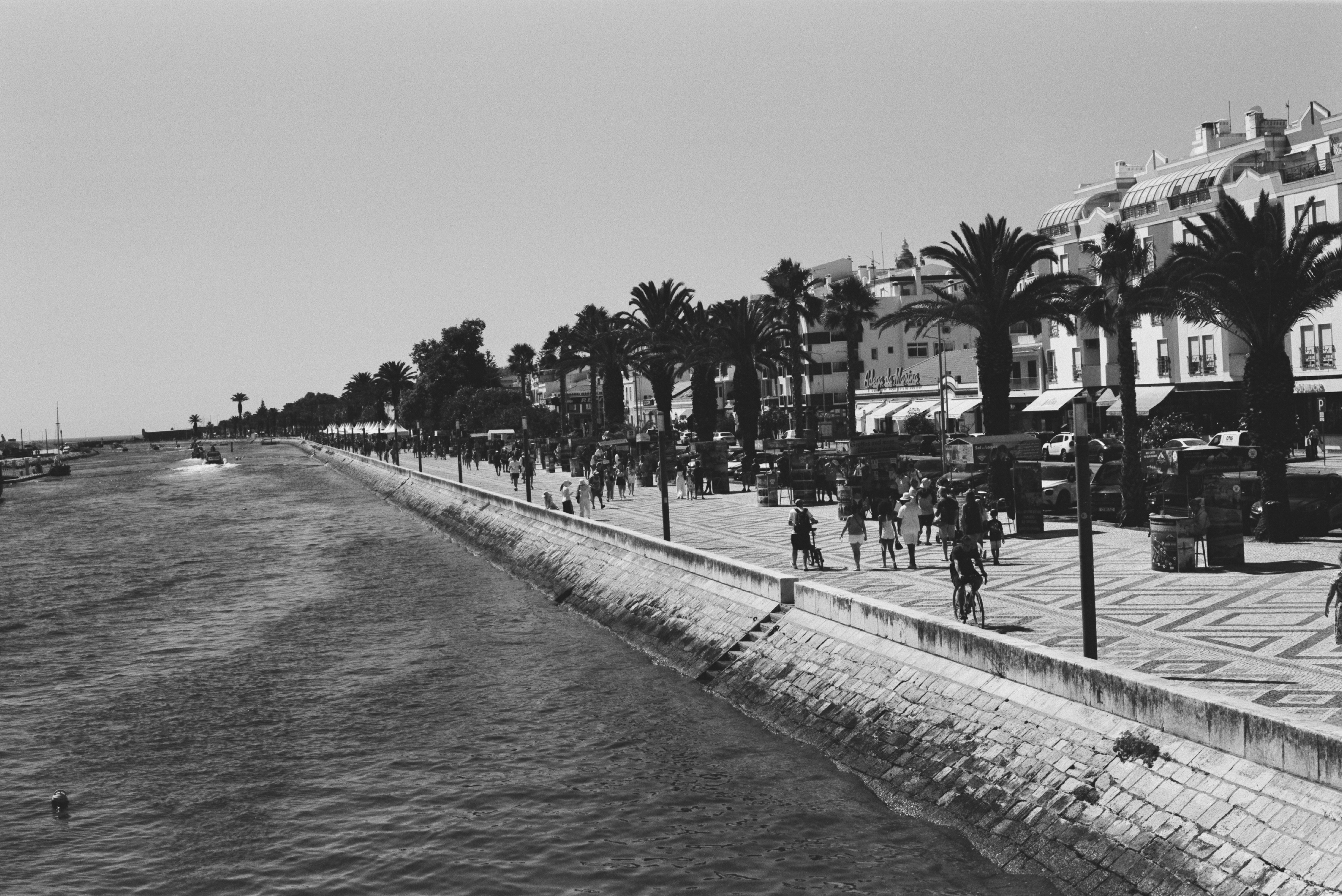 Palm-lined Promenade by the Sea