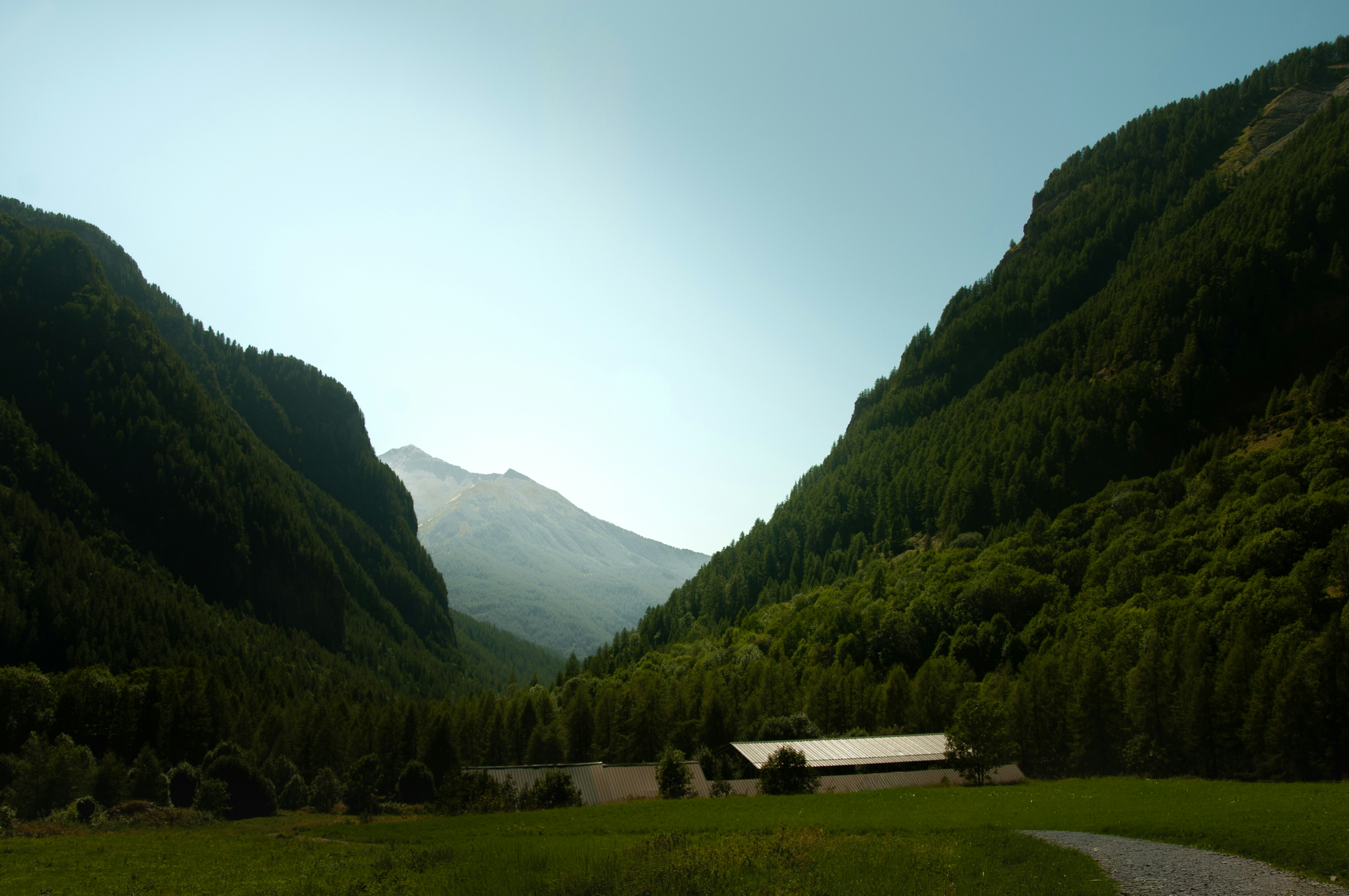 Valley Calm: Sunlit Ridge Between Verdant Slopes