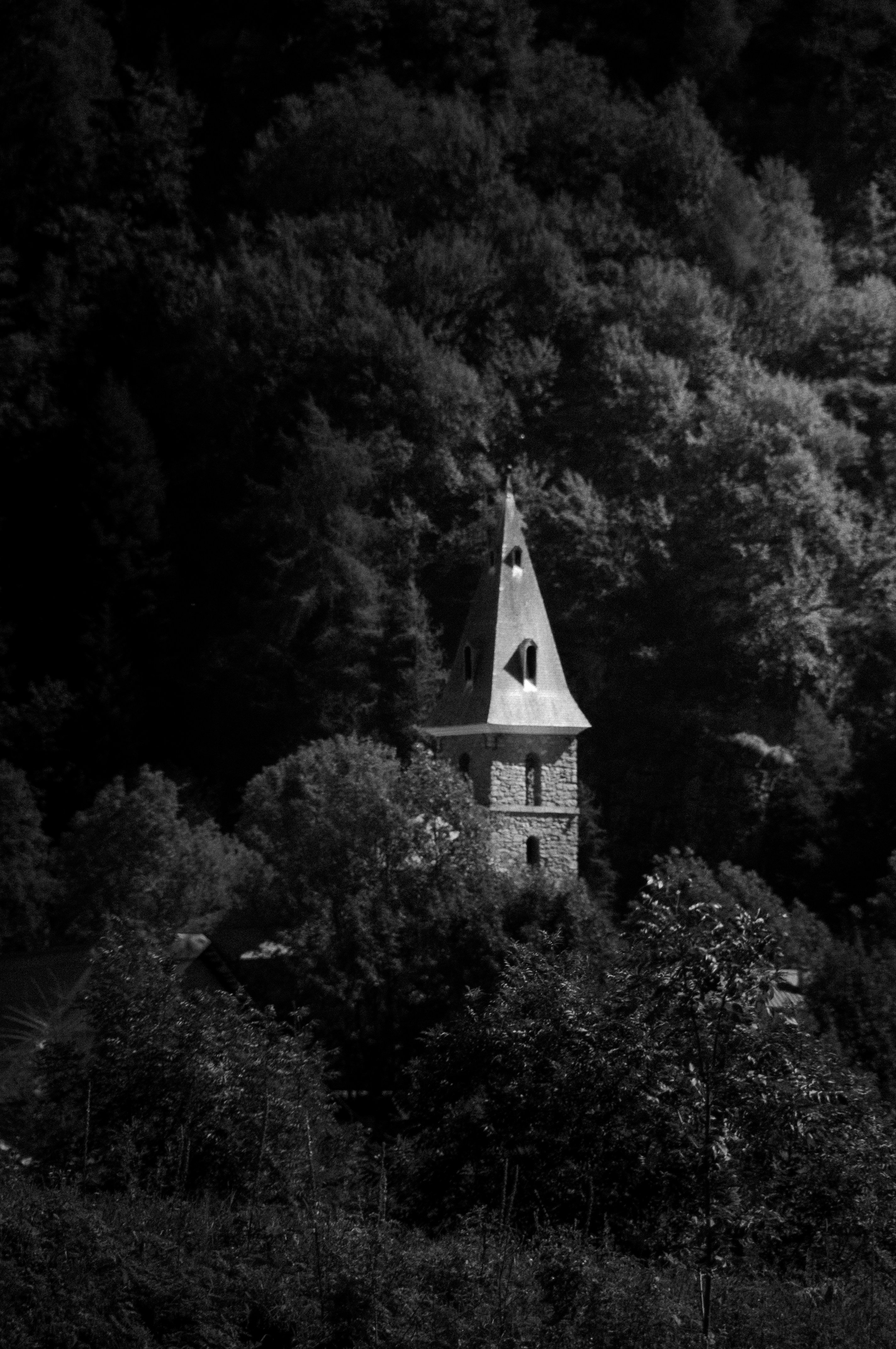 Stone Spire Rising Through the Pines