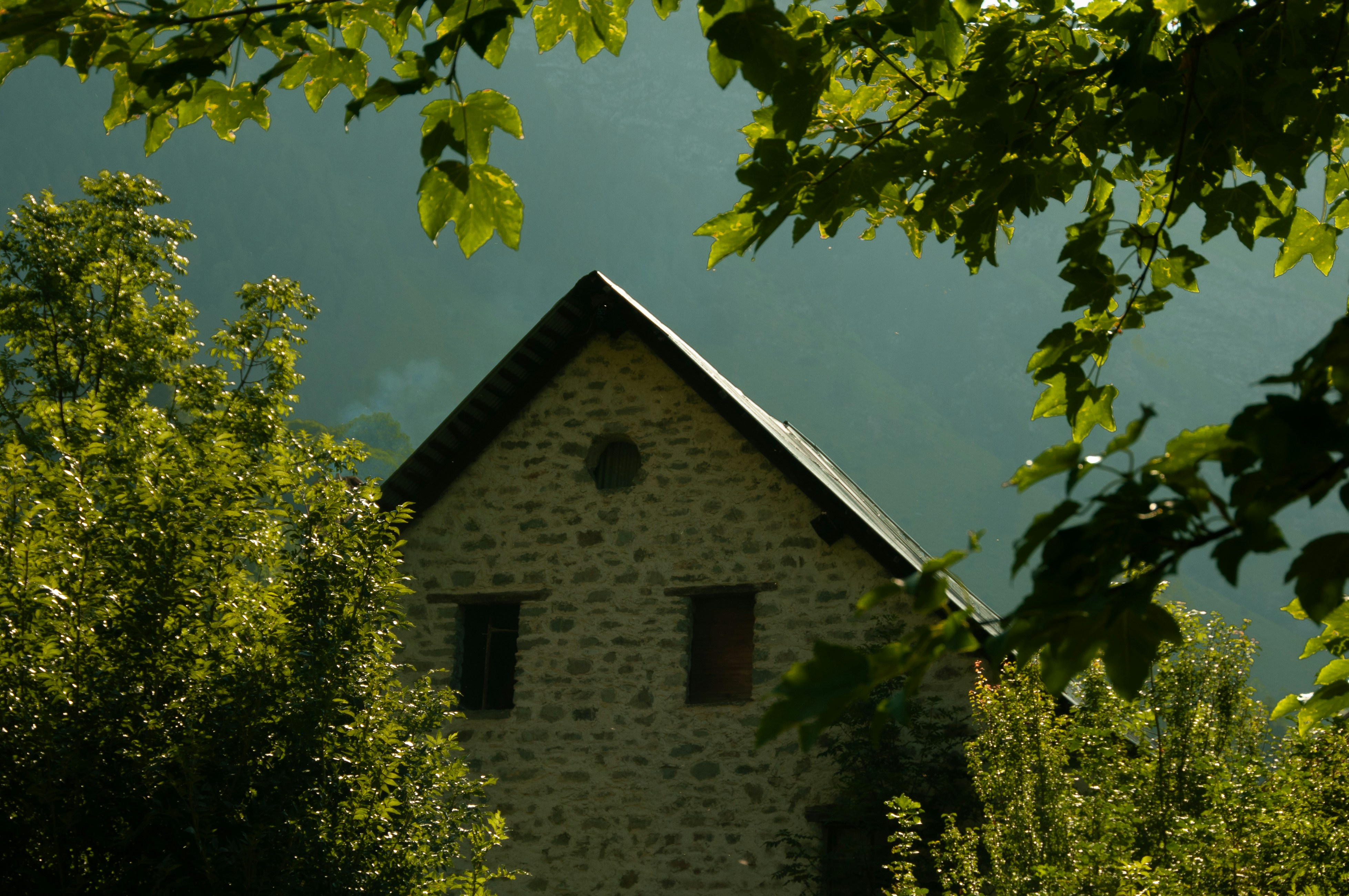 Stone Cottage Hidden in the Green Canopy