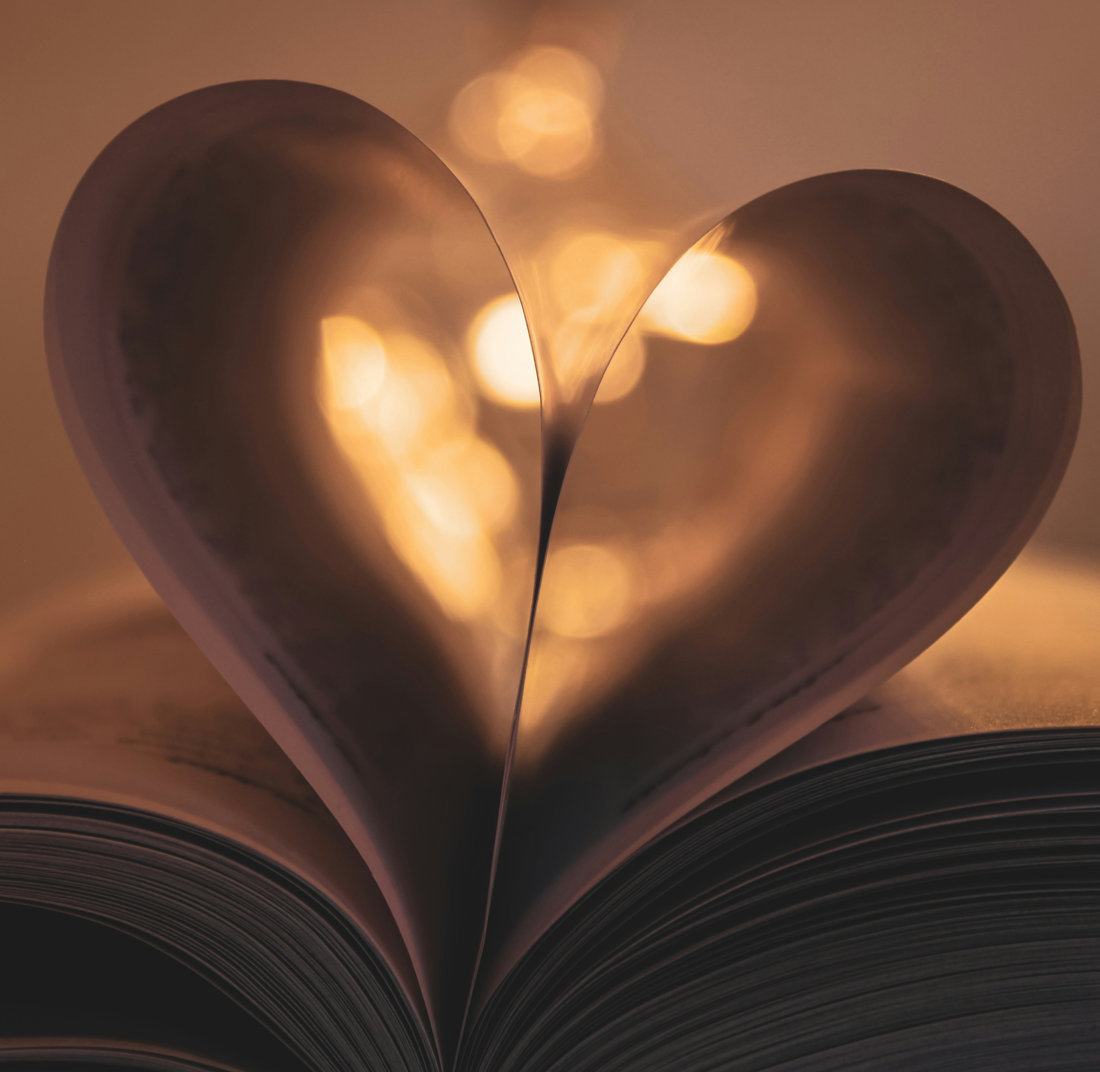 Heartfelt Reverie: Pages Form a Soft Acknowledgment