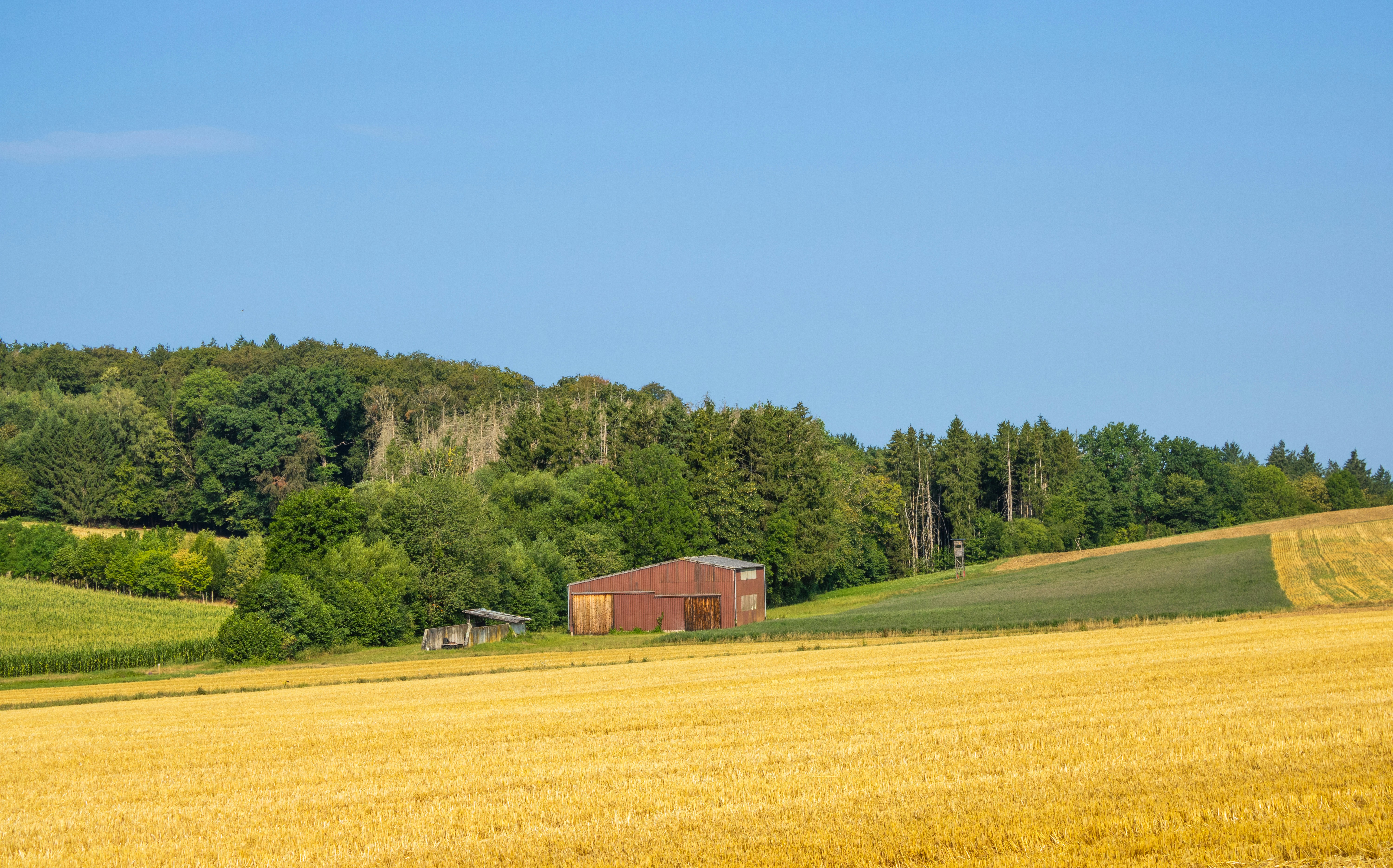 Sunlit Harvest: A Quiet Farmstead Anchored by a Red Barn