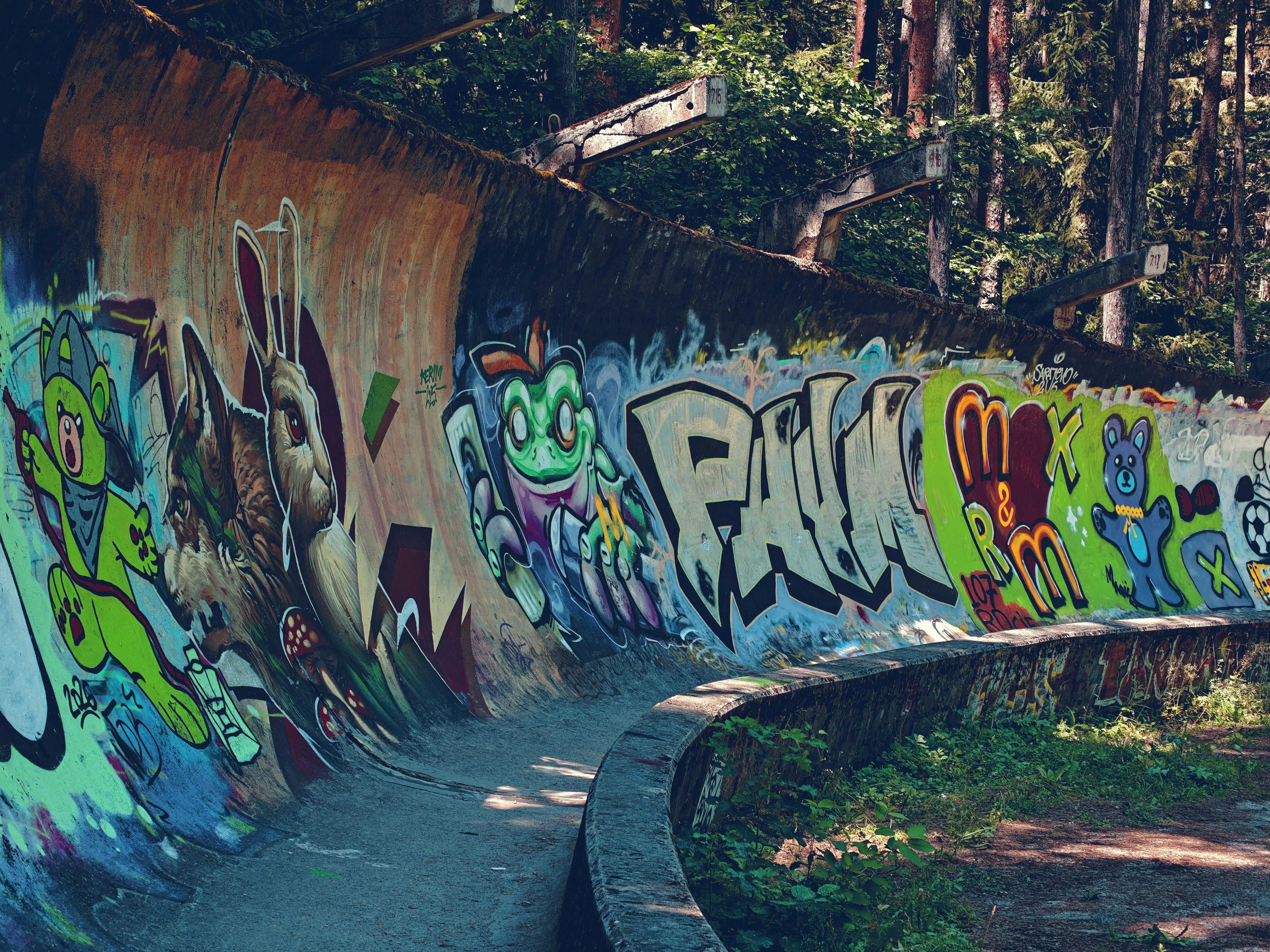 Colorful graffiti wall along a curved concrete ramp in a shaded outdoor setting, featuring cartoonish animals and bold letterforms; the scene appears as a mural-covered walkway in a park-like area.