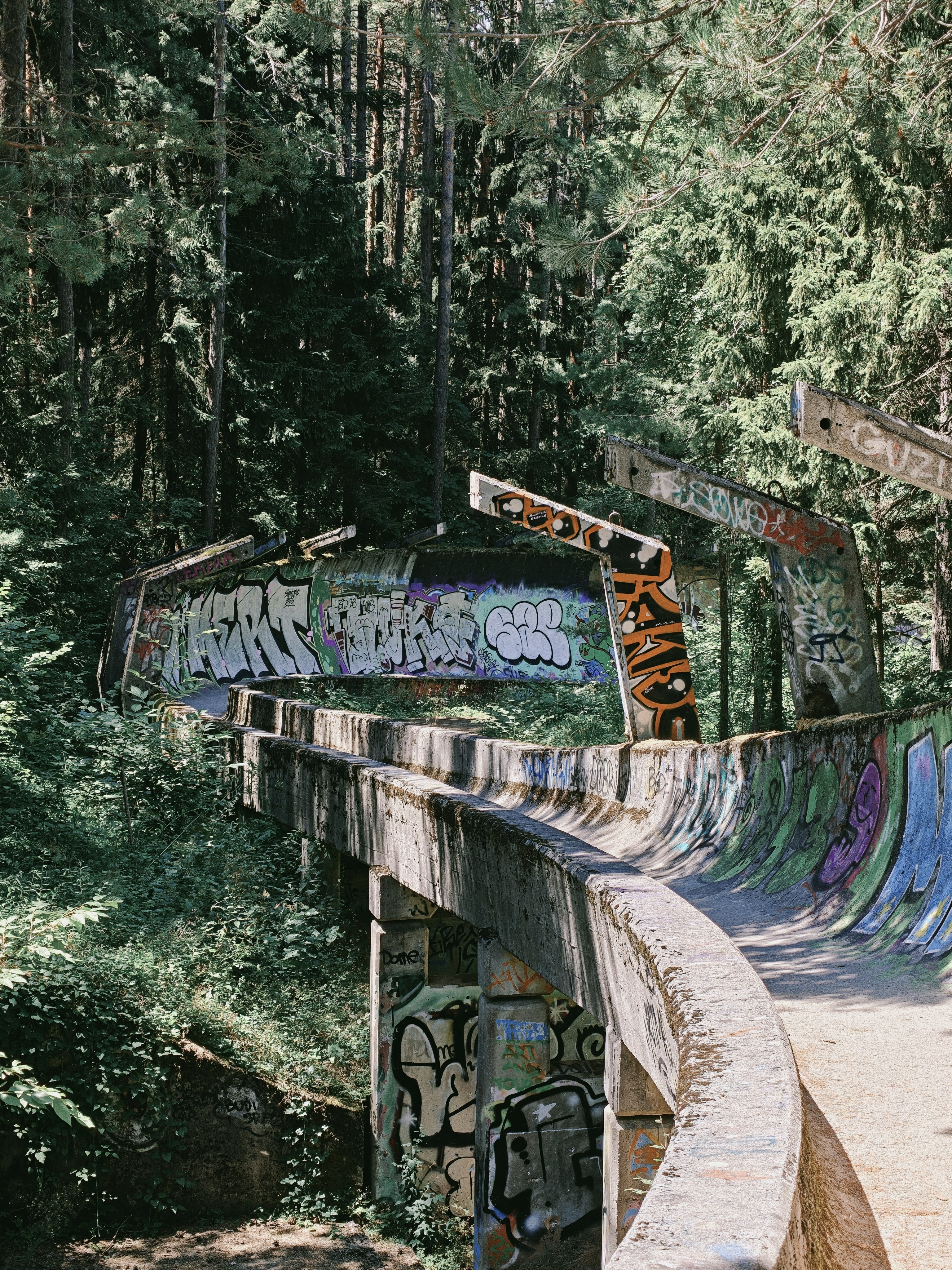 Graffiti Arch Overlook: A Sunlit Concrete Bridge Through the Forest