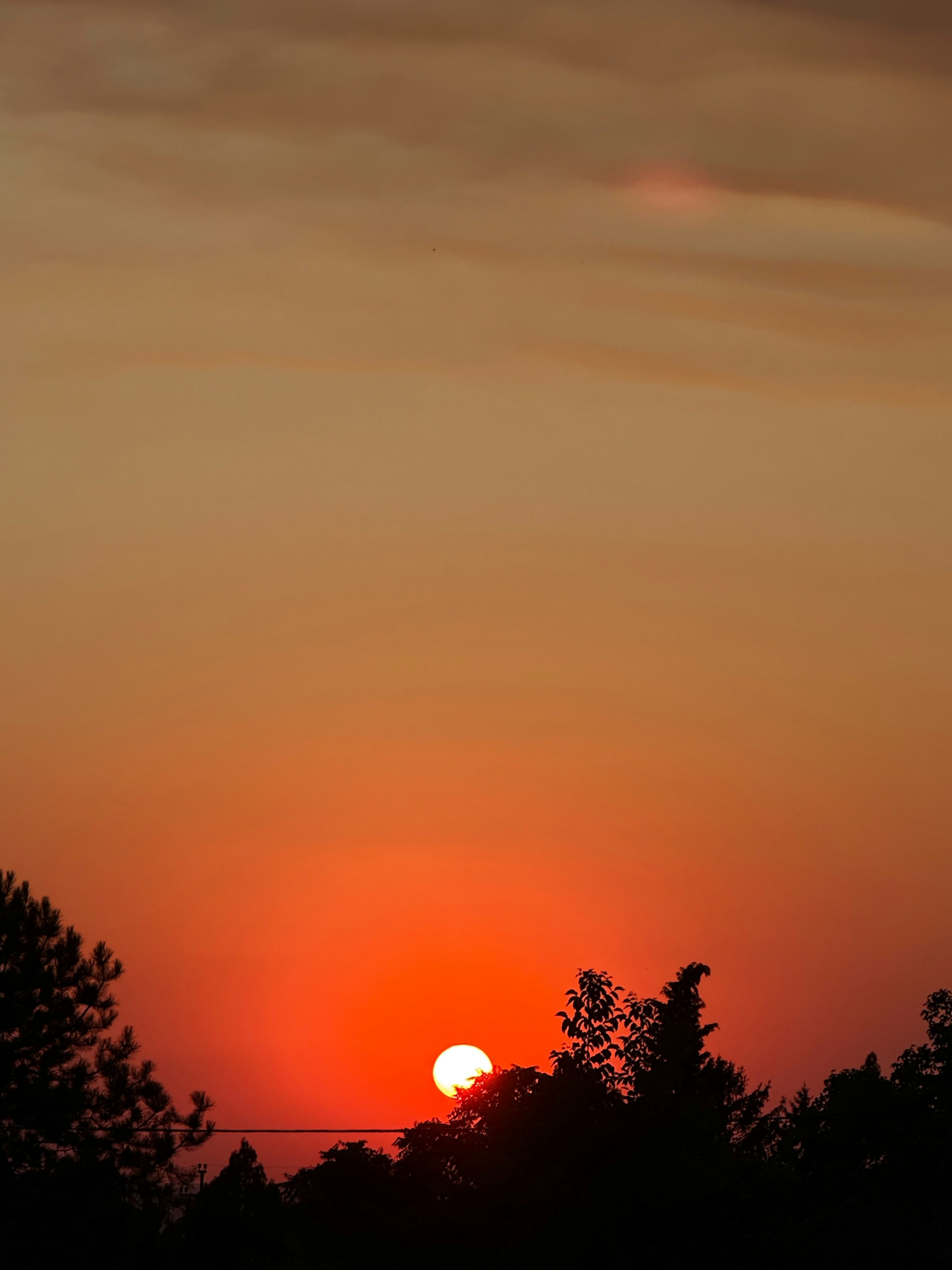 Silhouetted treeline against a warm sunset, with the sun dipping near the horizon; minimal foreground detail and a smooth gradient sky. This scene emphasizes mood and color over texture.