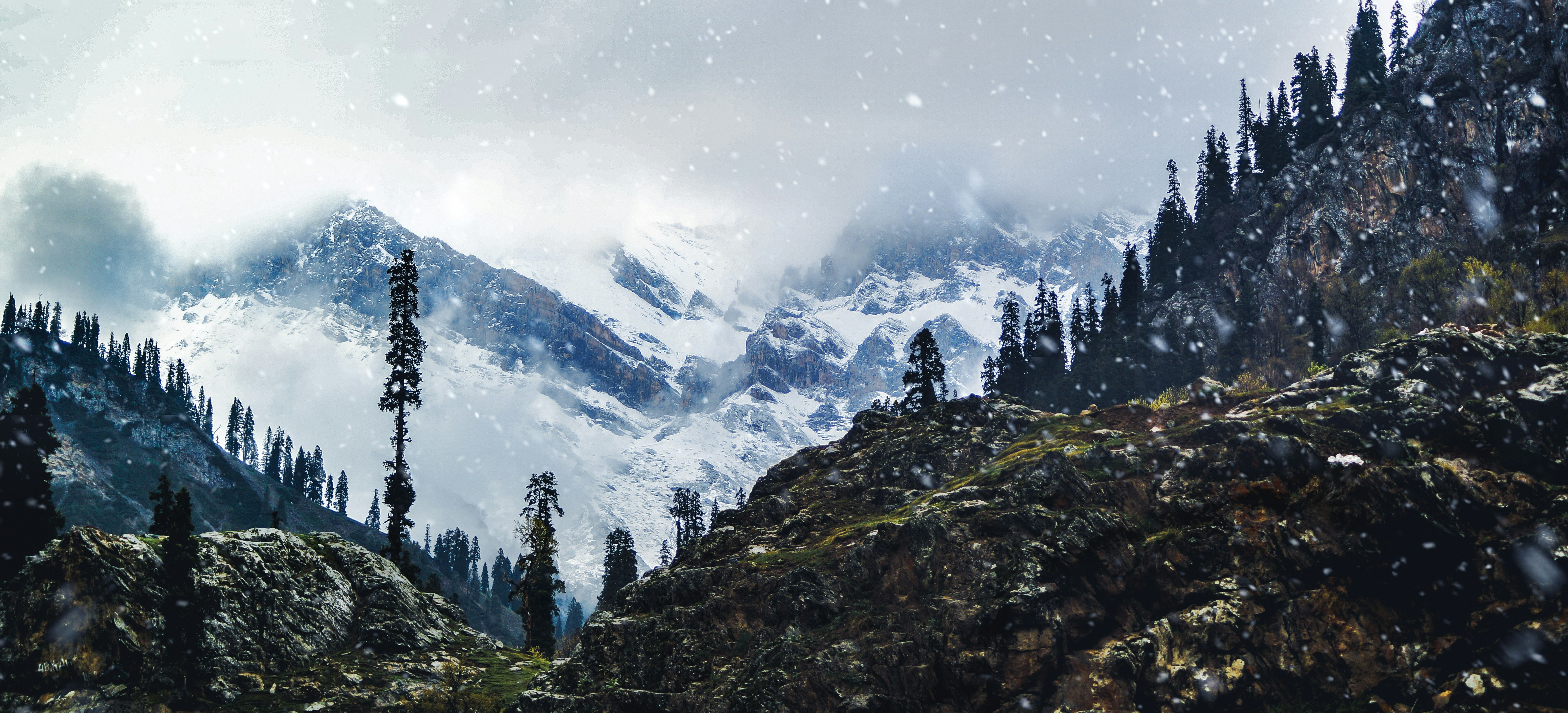 Snow-kissed Peaks Emerging from a Mossy Ridge