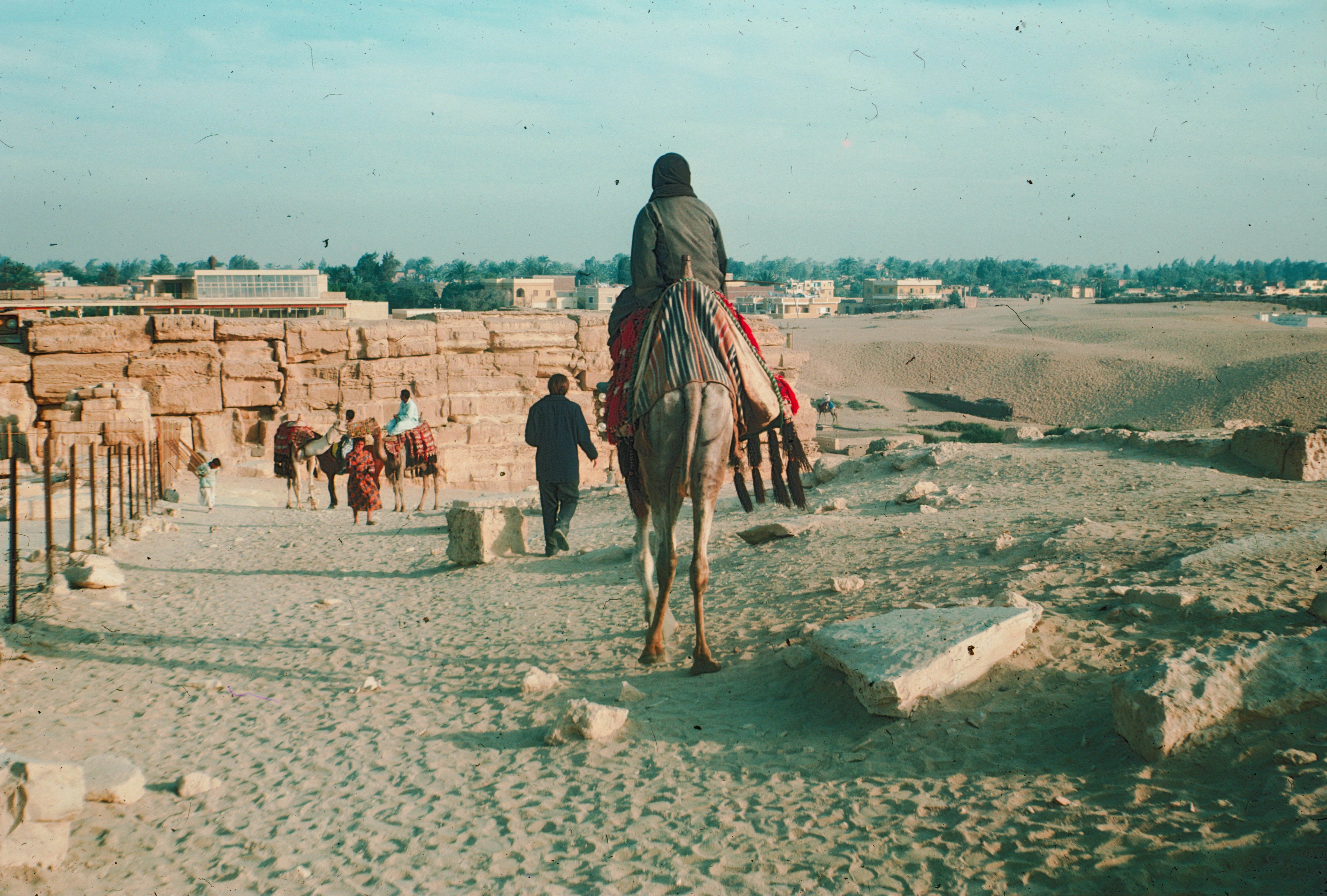 Desert Parade: A Rider and a Silent Caravan