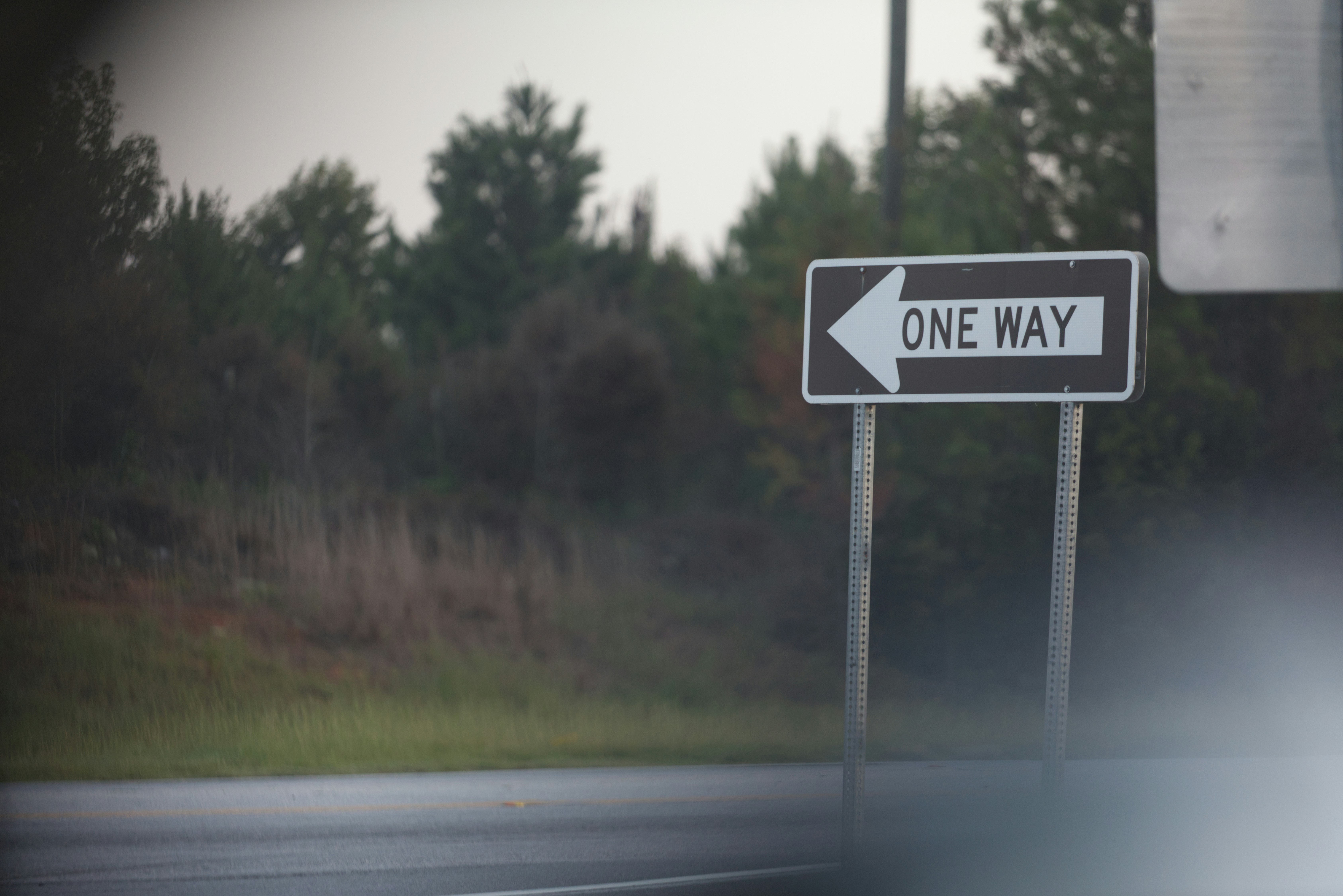 One Way Forward: A Weathered Road Sign Sets the Pace