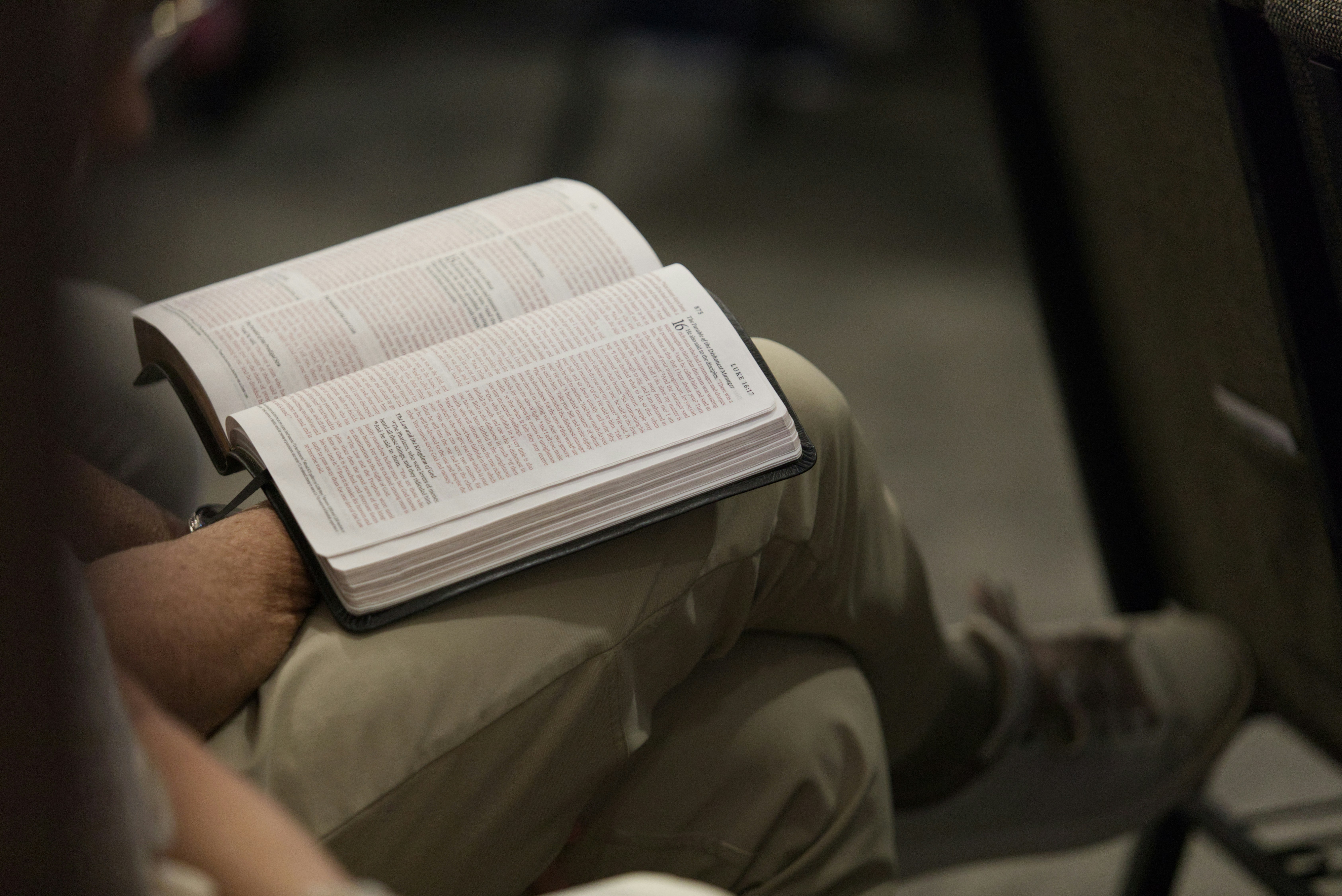 Quiet Focus: A Reader Lost in the Page