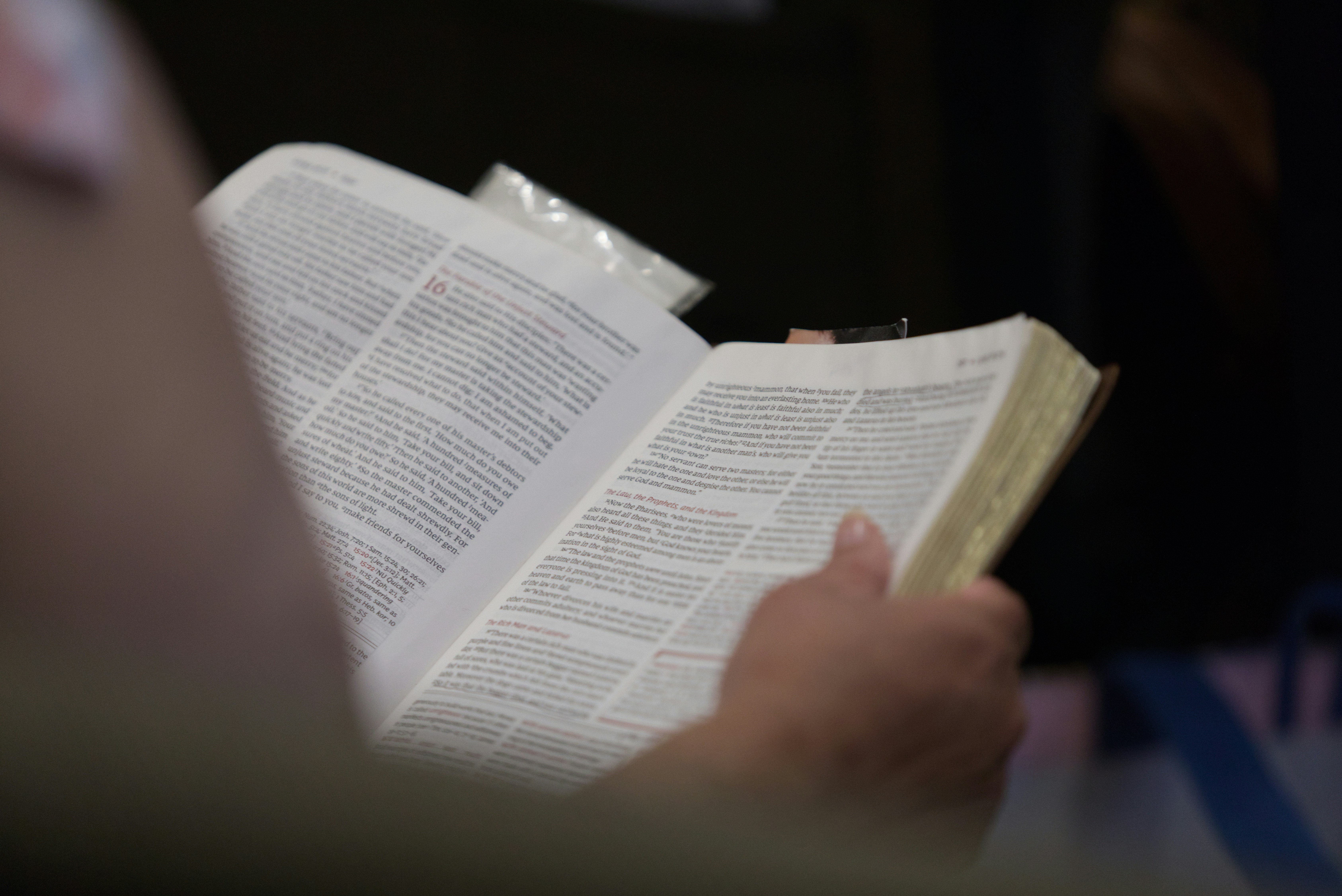 Open Pages, Quiet Focus: A Reader in Soft Light